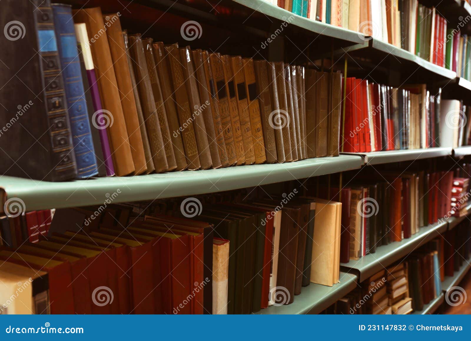 Collection of Different Books on Shelves in Library Stock Photo - Image ...