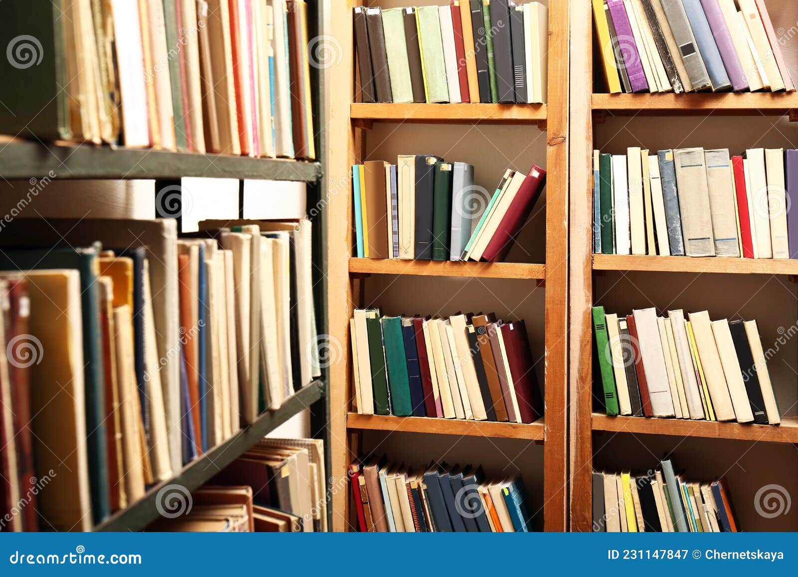 Collection of Different Books on Shelves in Library Stock Image - Image ...