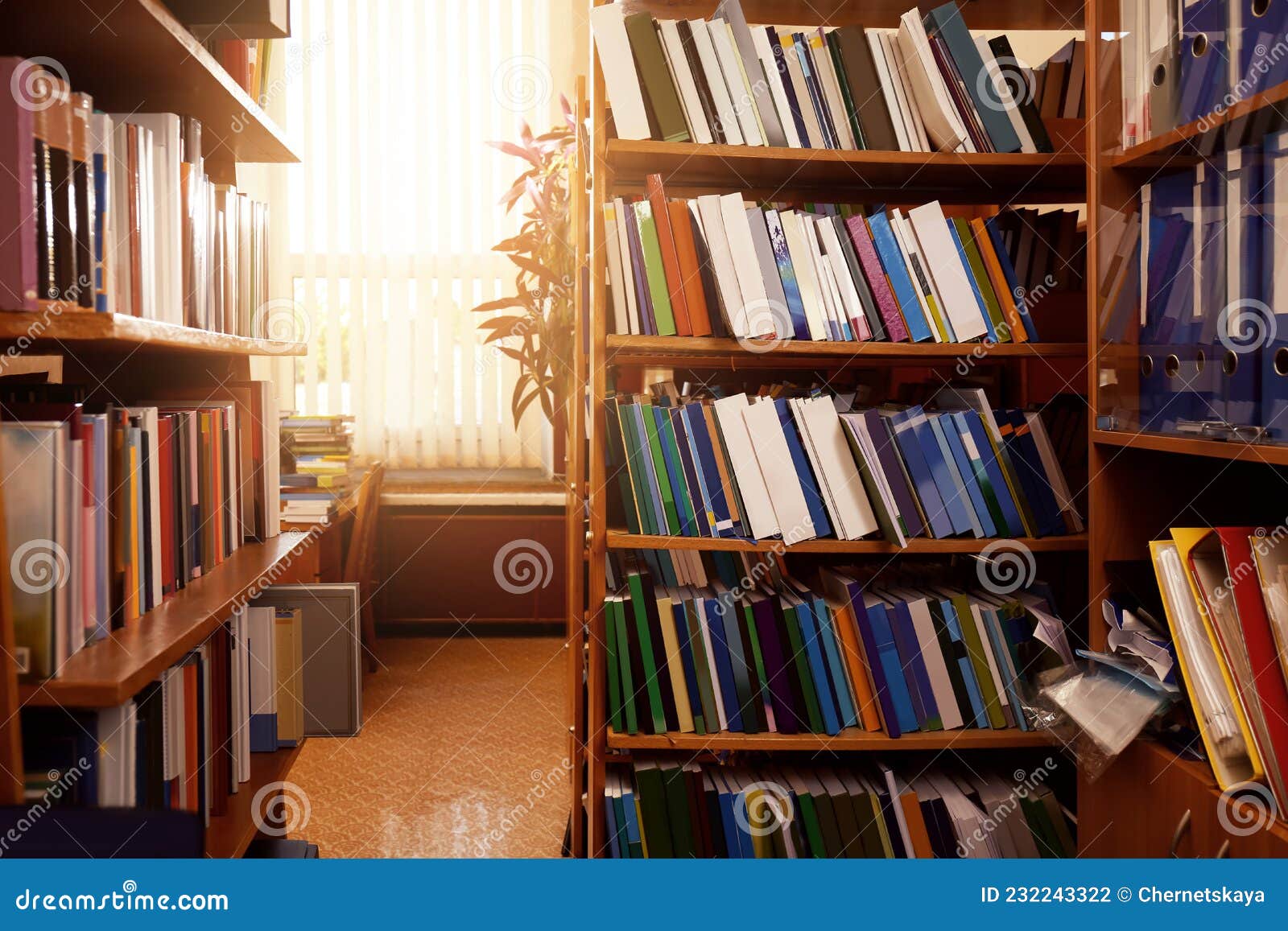 Collection of Different Books on Shelves in Library Stock Photo - Image ...