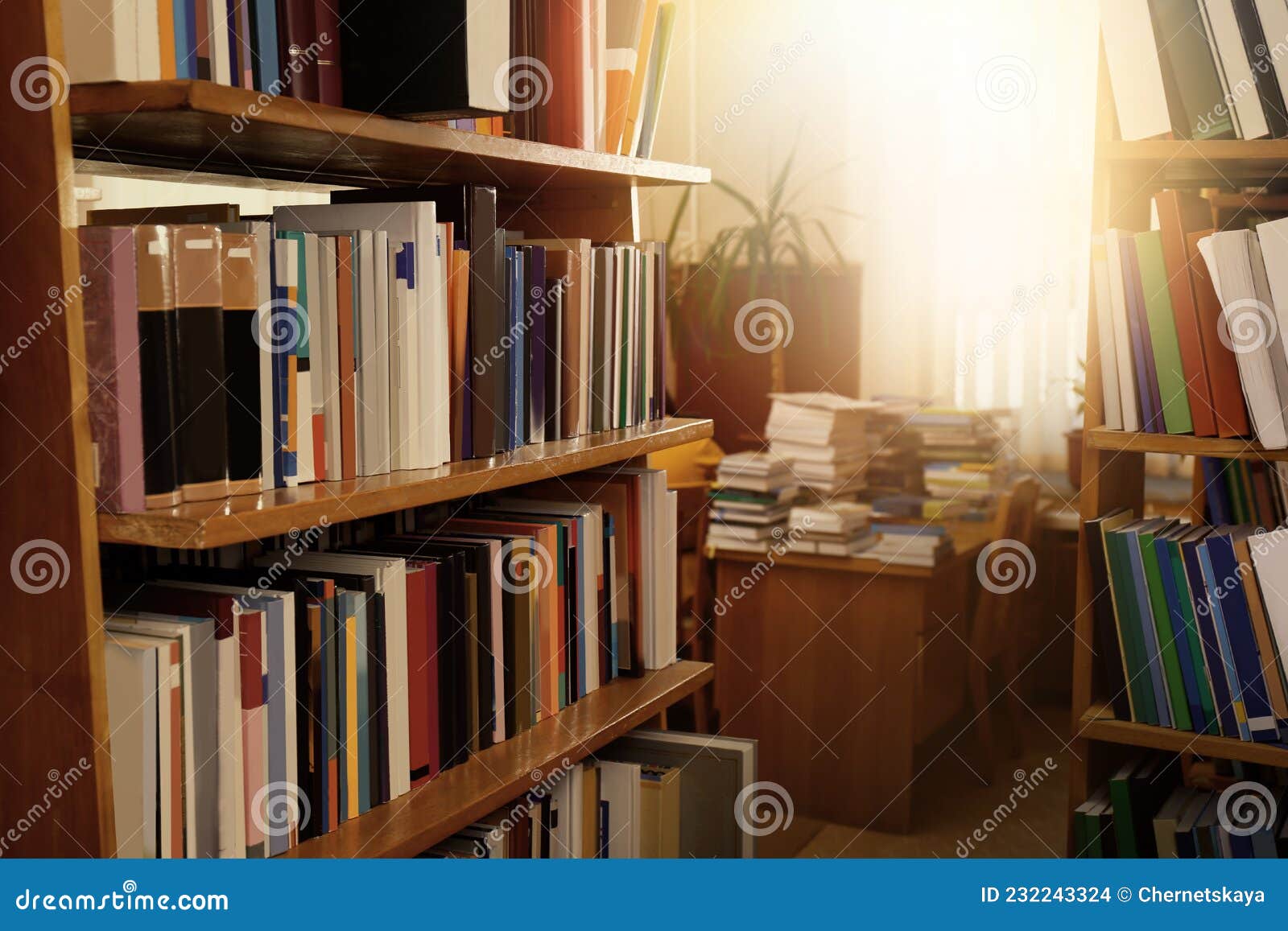 Collection of Different Books on Shelves in Library Stock Photo - Image ...