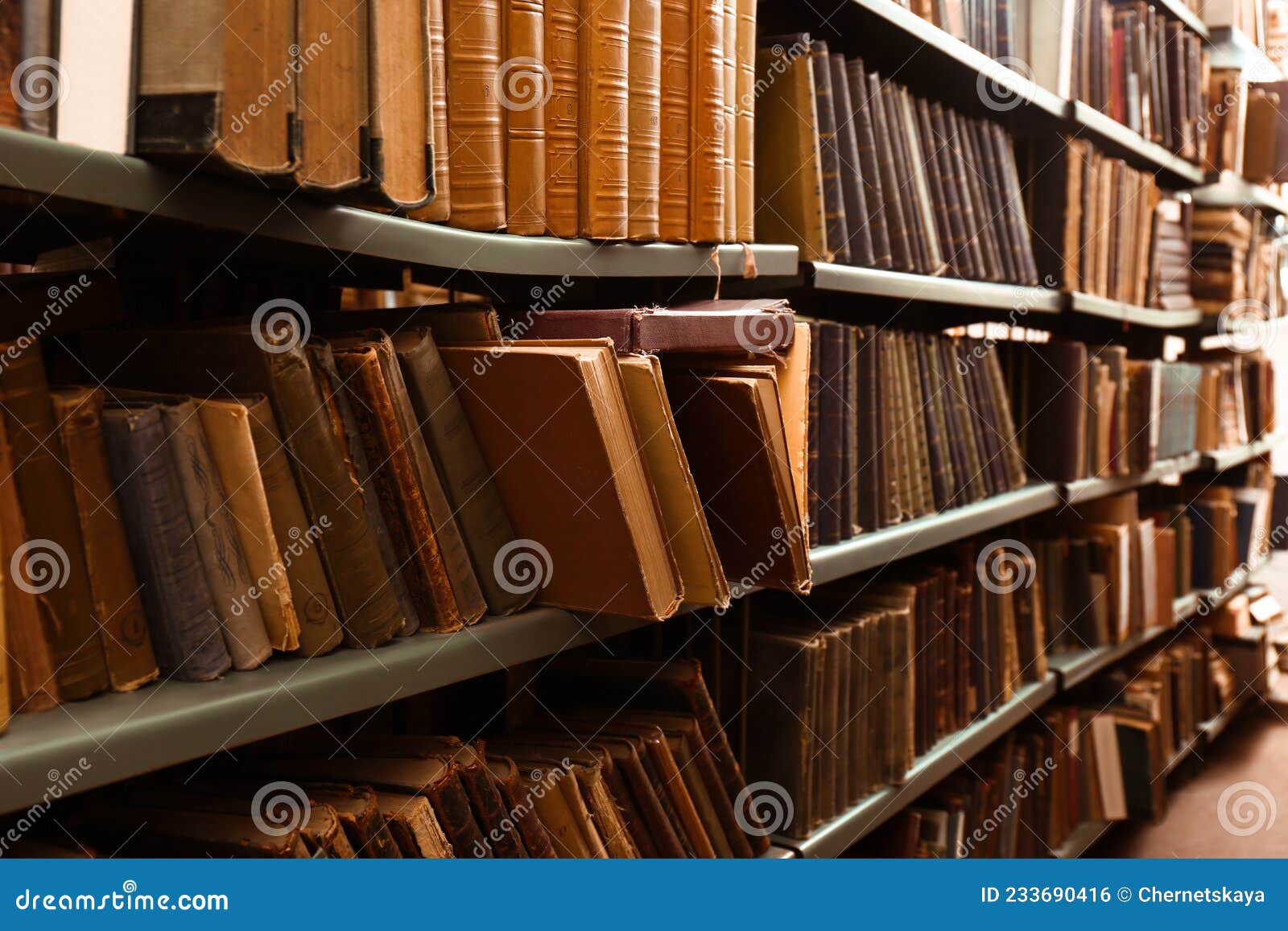 Collection of Different Books on Shelves in Library Stock Photo - Image ...
