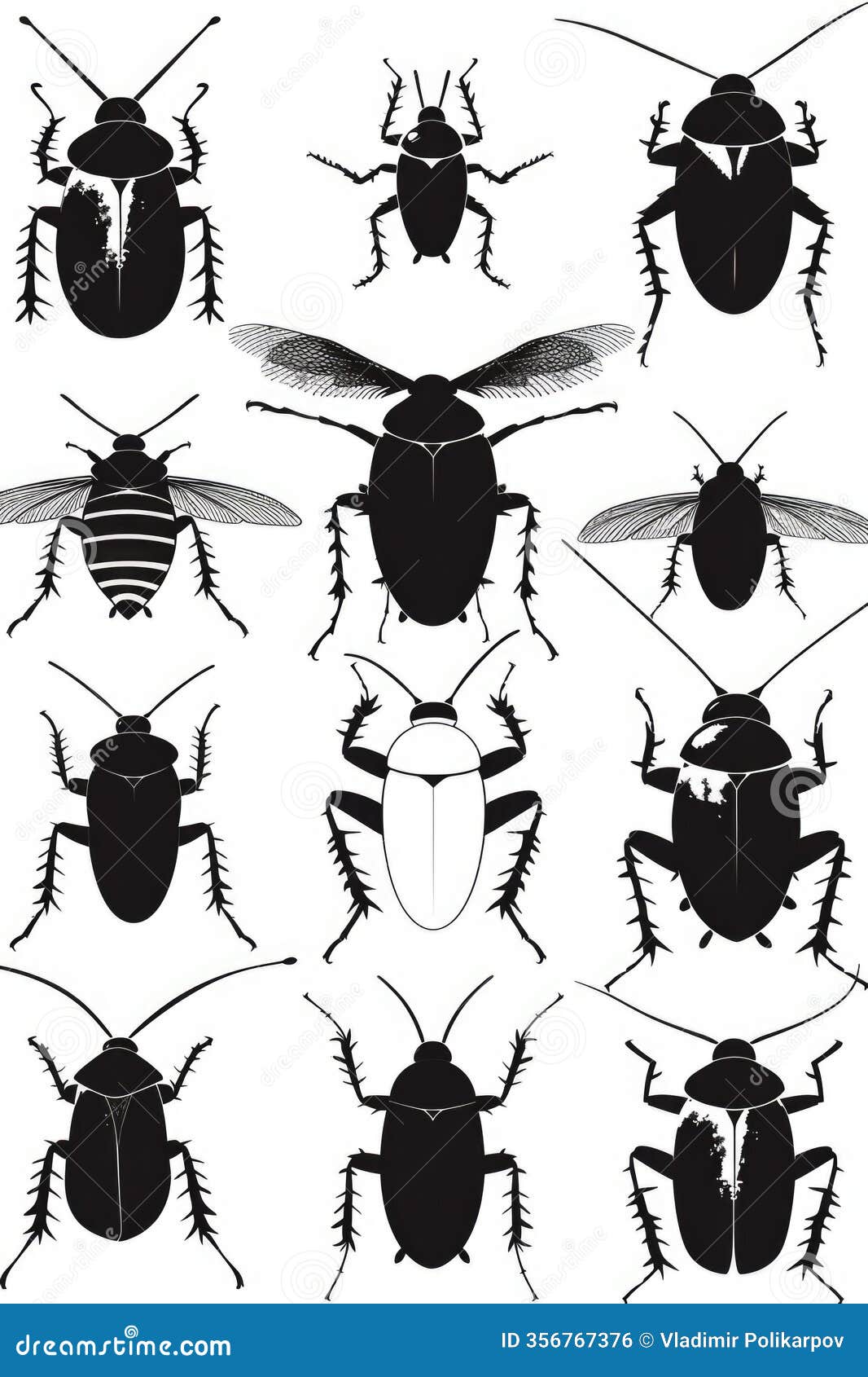 A Collection of Different Bug Types Stock Photo - Image of wildlife ...