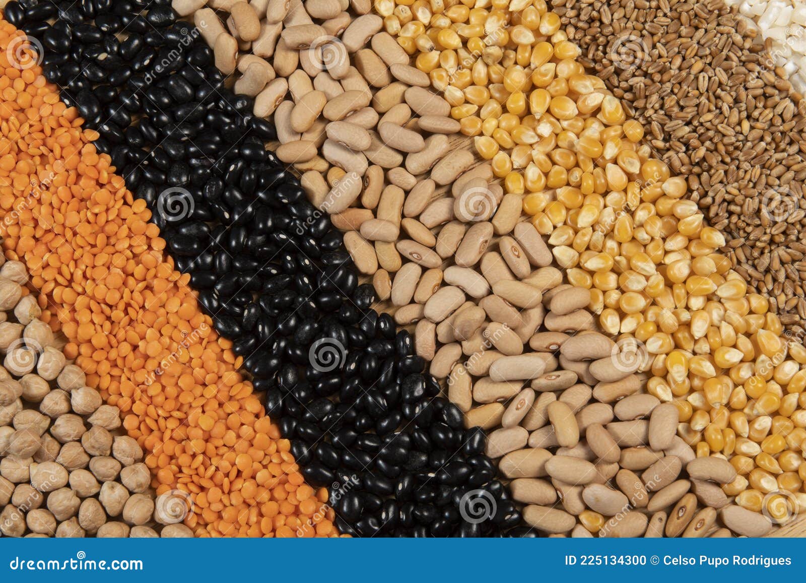 Fiber source examples stock photo. Image of agriculture - 225134300