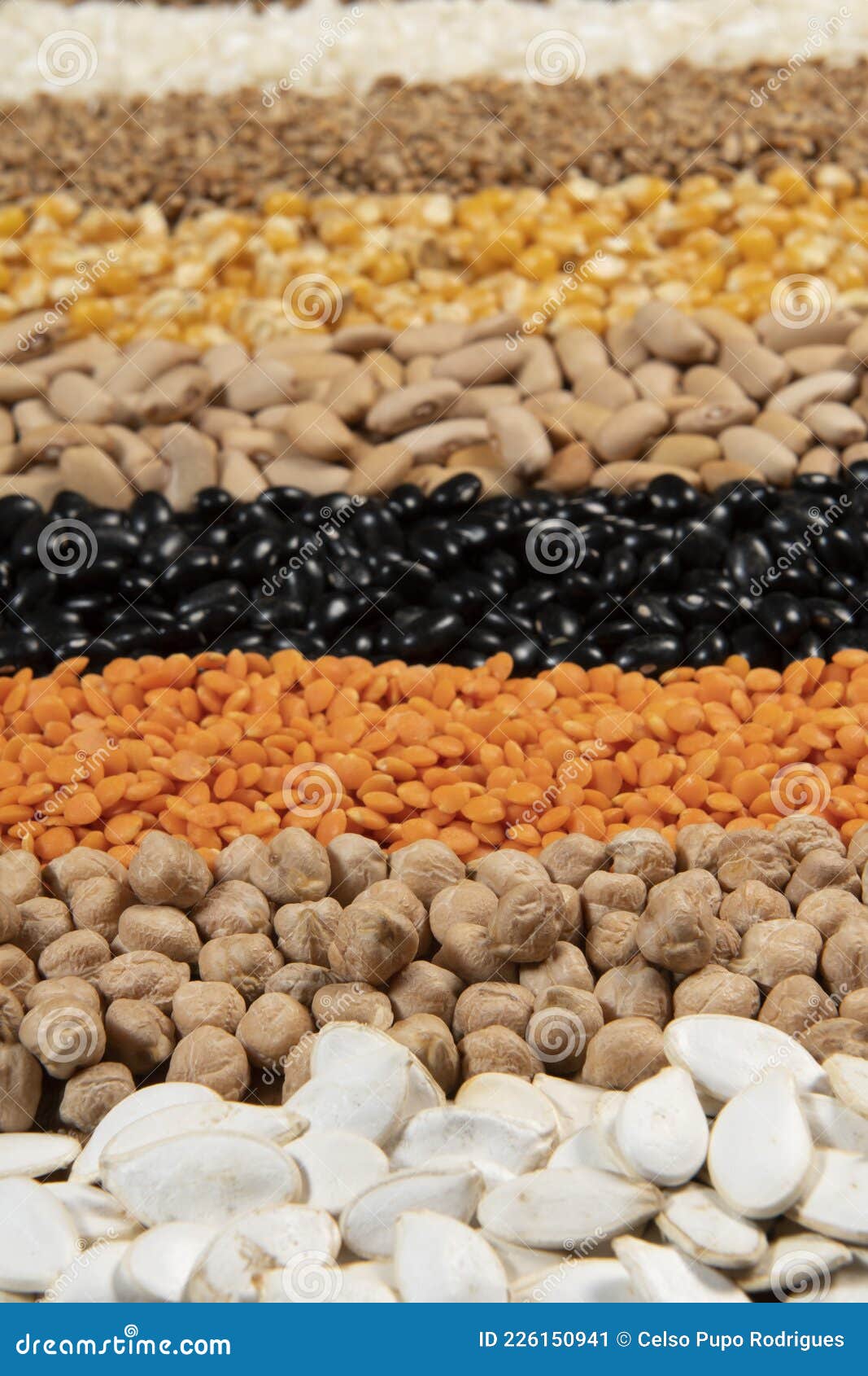 Fiber source examples stock image. Image of vegetarian - 226150941