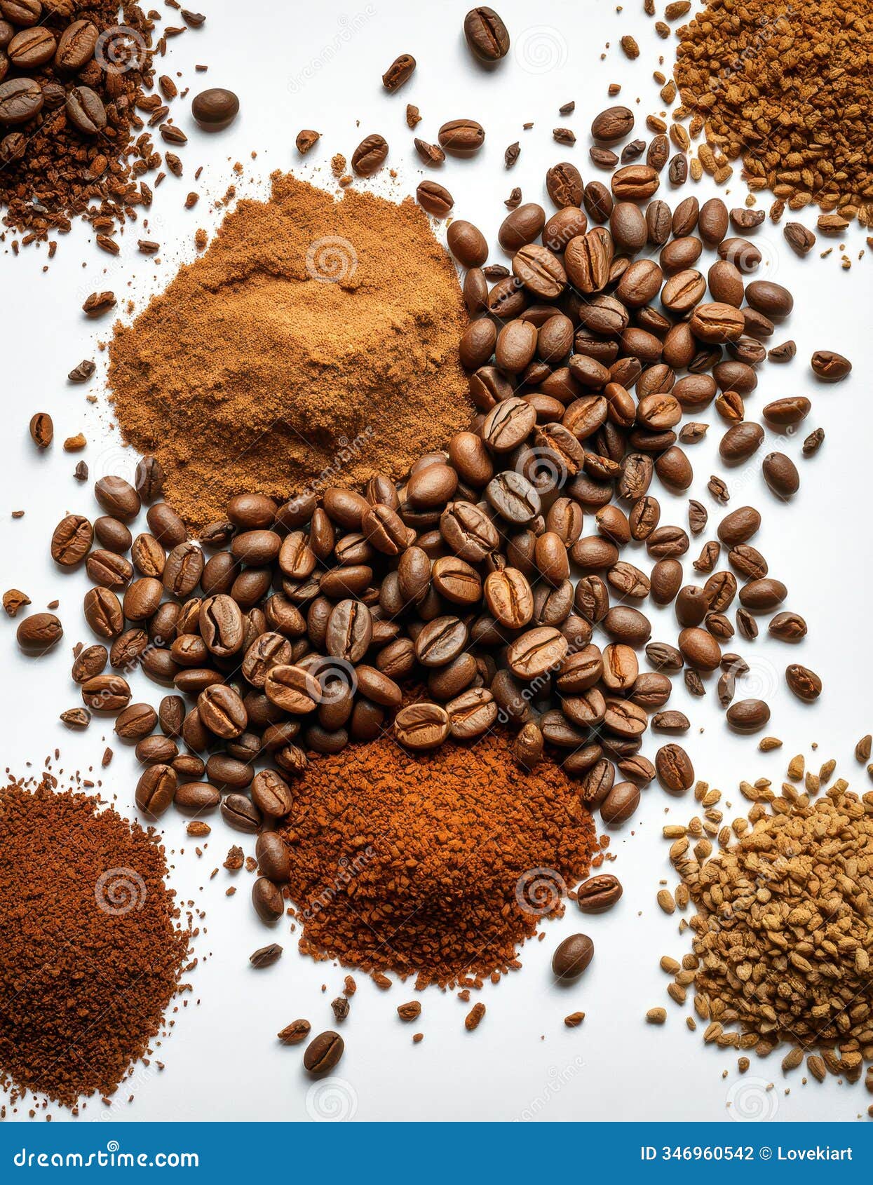 Collection of Different Coffee Types and Textures Arranged on a White ...