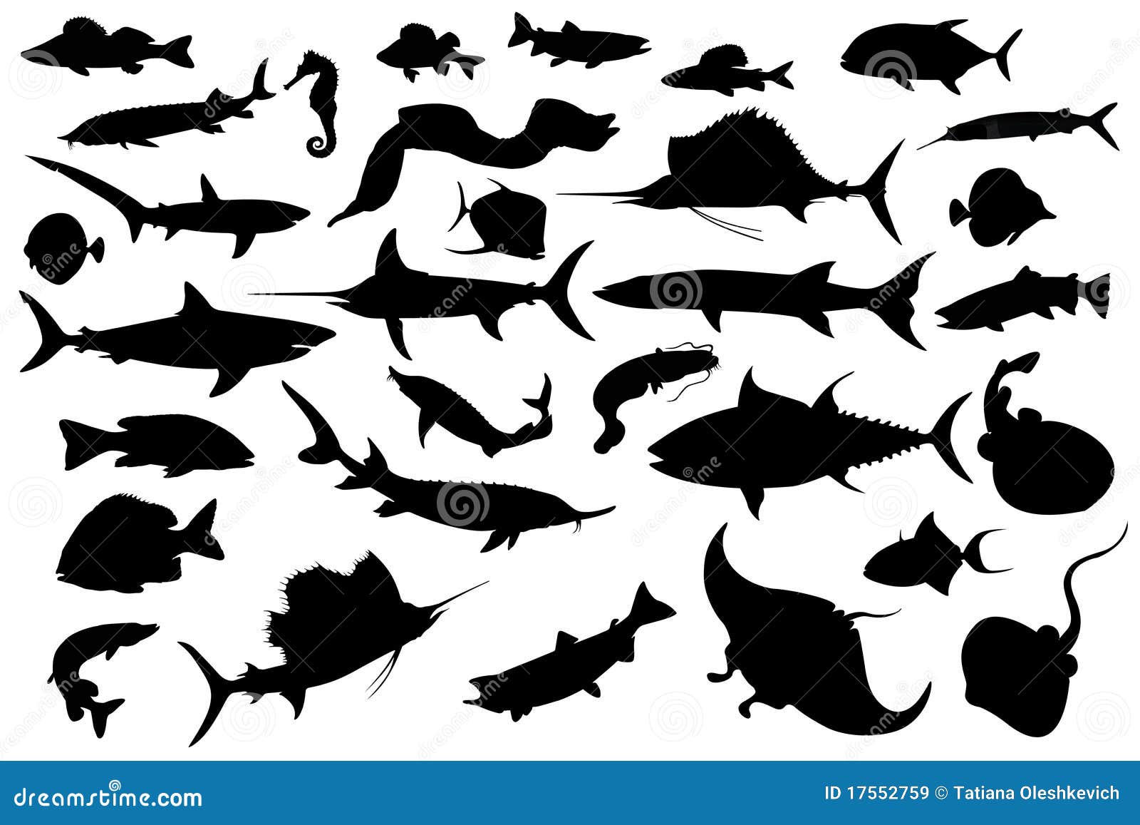 Collection Of Different Fish Silhouettes Royalty Free Stock Images ...