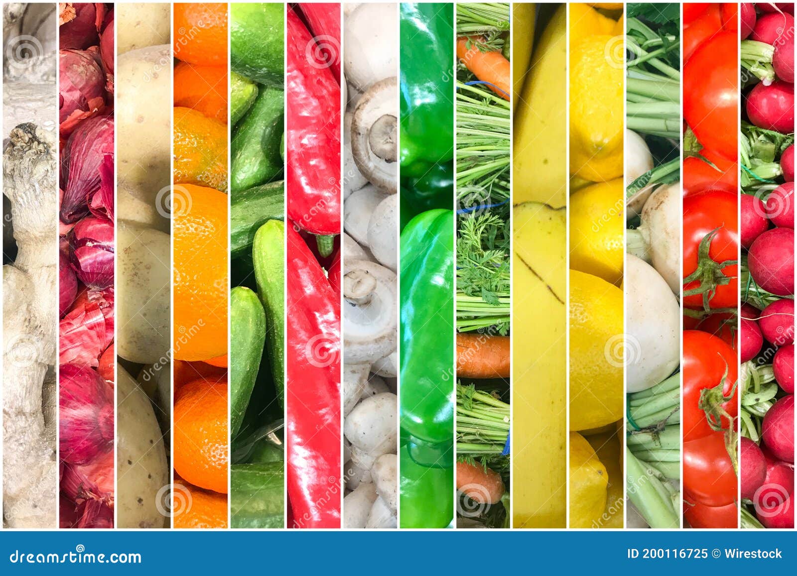 Collection of Different Fresh Vegetables Stock Image - Image of ...