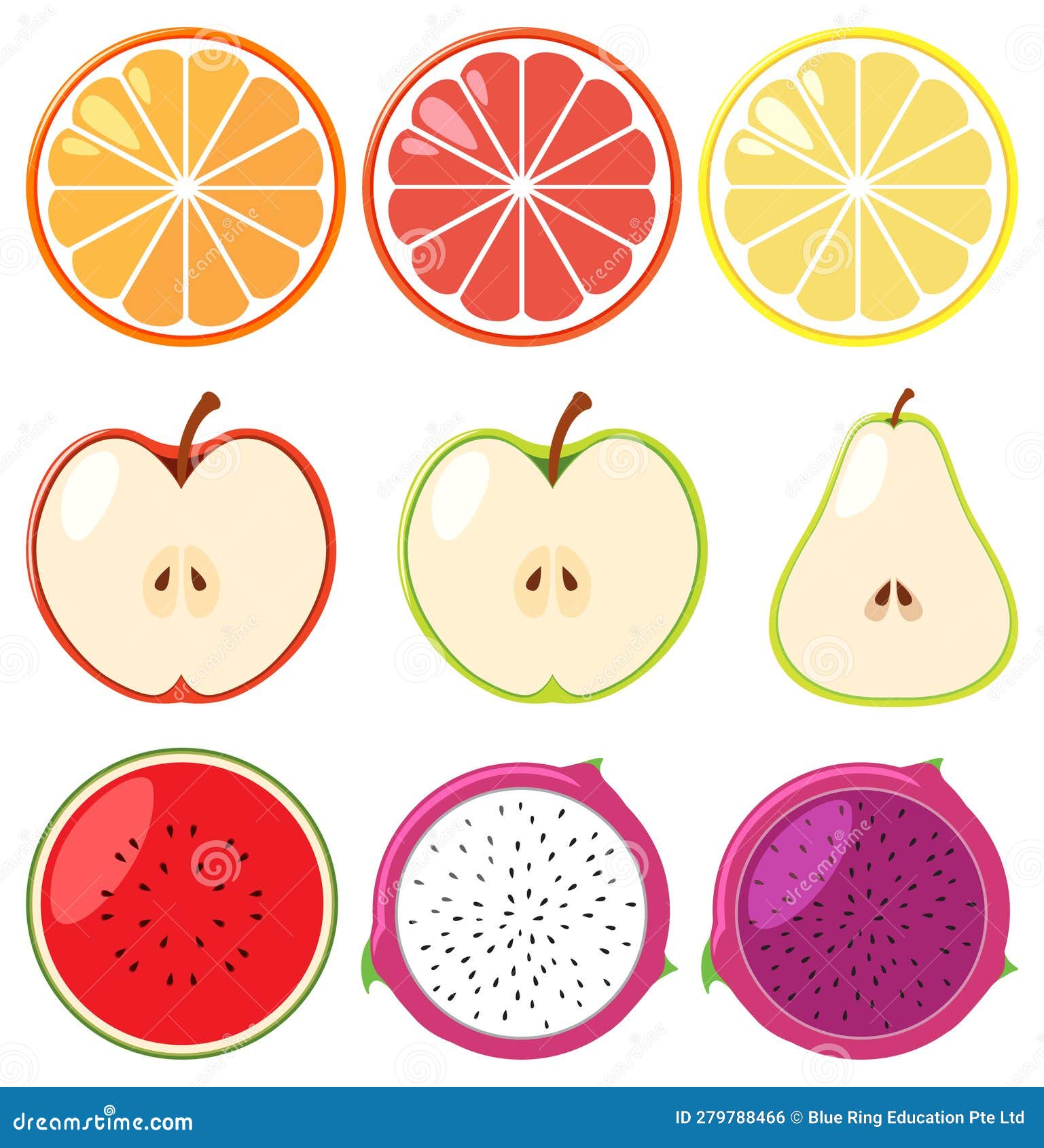 A Collection of Different Fruits Stock Vector - Illustration of cartoon ...