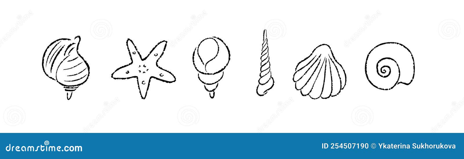 Collection of Different Kind Beautiful Shells, Hand-drawn Black Stock ...