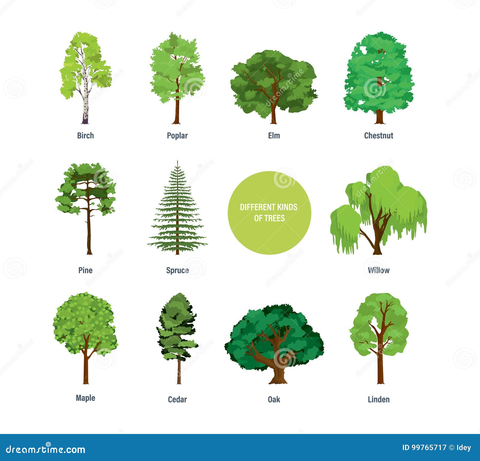 Concept Of Collection Of Modern Different Kinds Of Trees Stock Vector Illustration Of Element