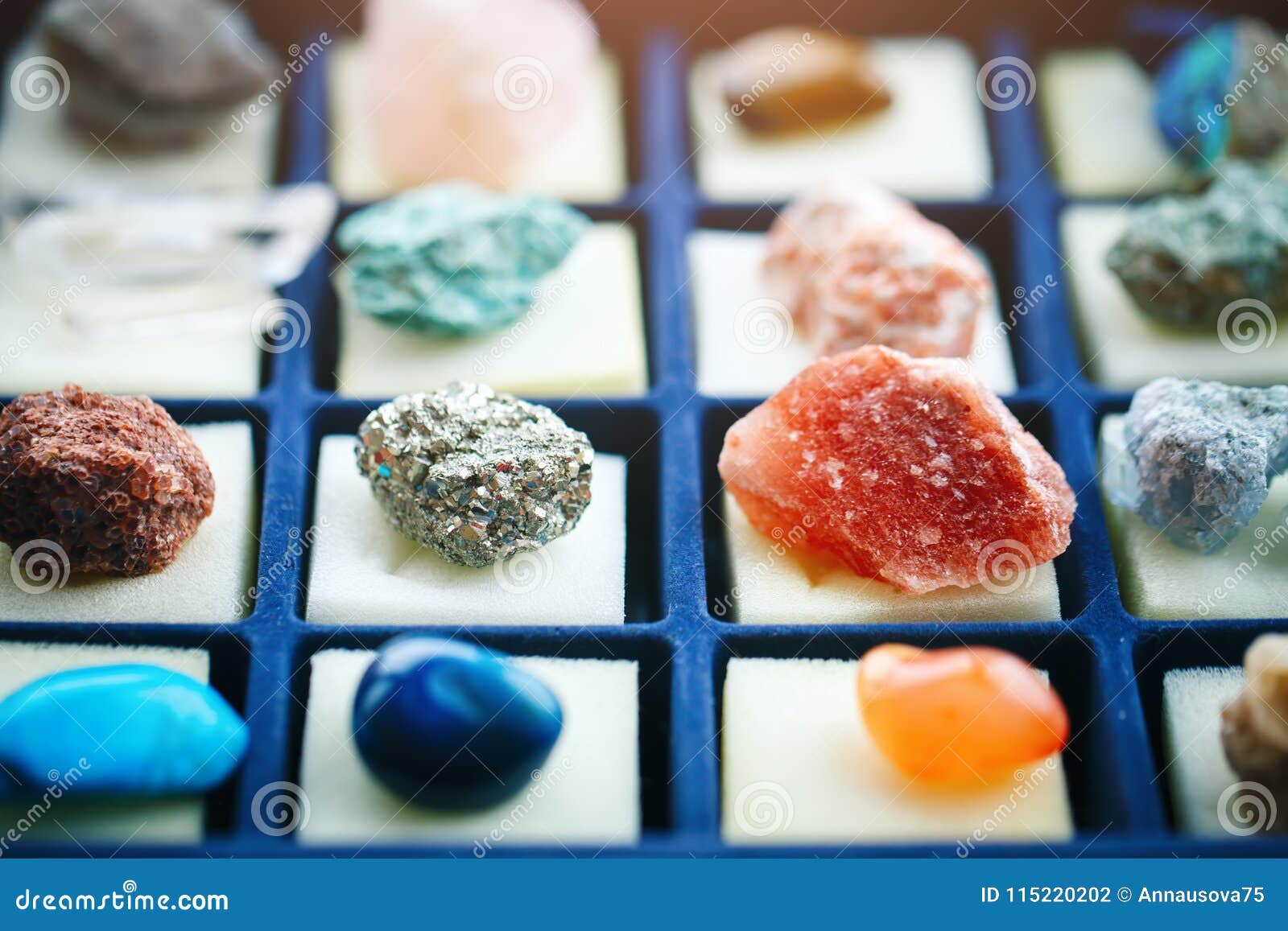 Collection of Different Minerals. Geology. Selective Focus. Stock Photo ...