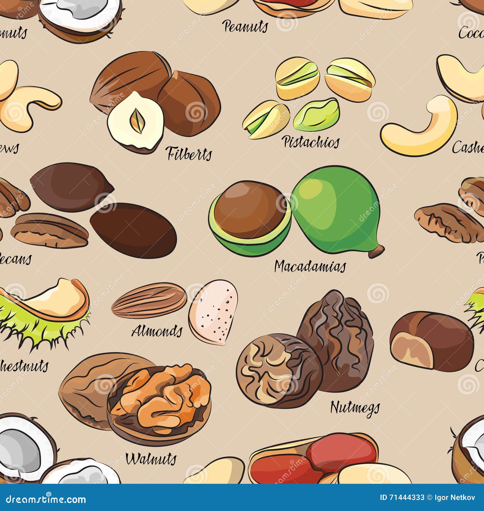 Collection of Different Nuts Pattern Stock Vector - Illustration of ...