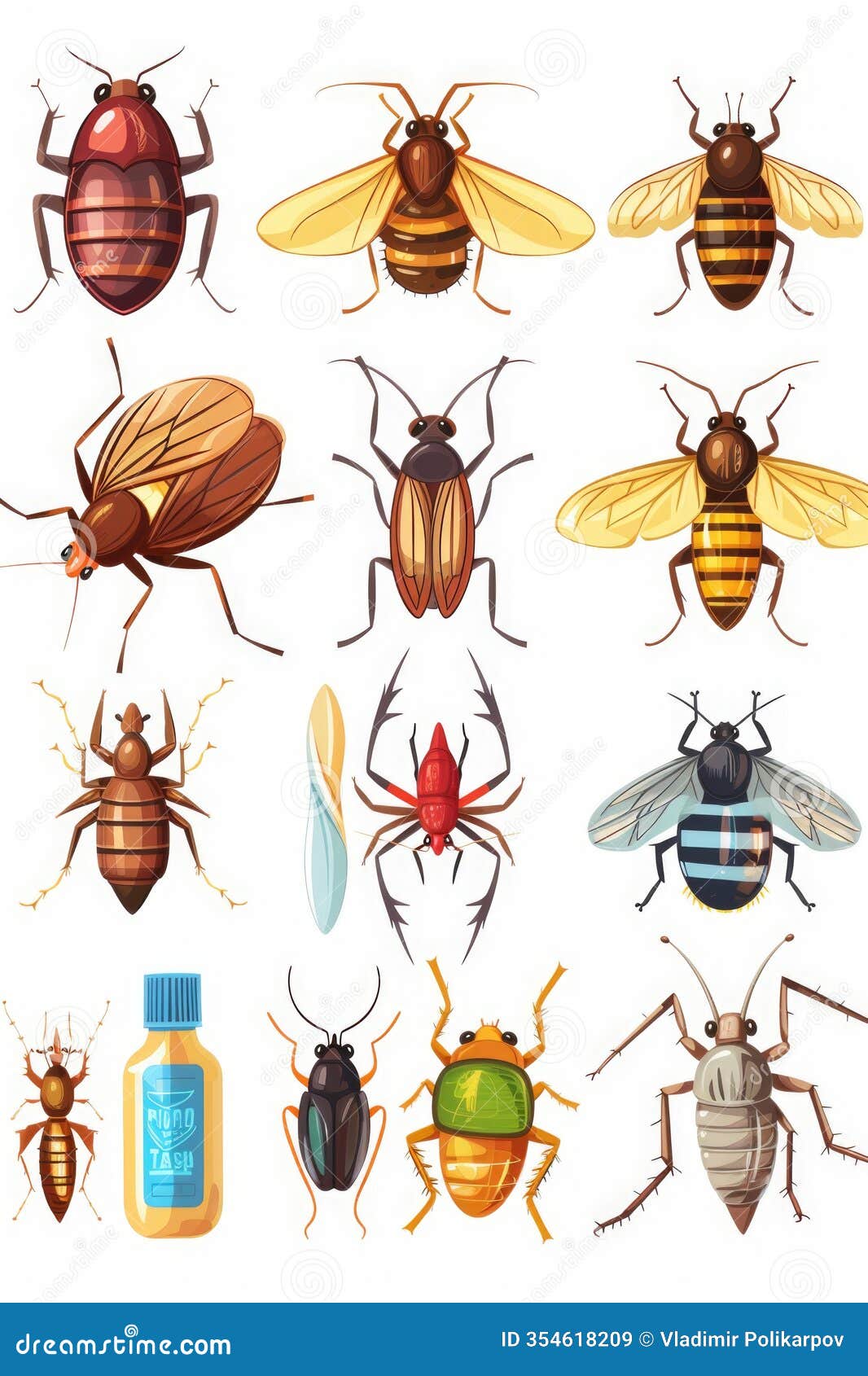 Collection of Different Types of Insects, Suitable for Educational ...