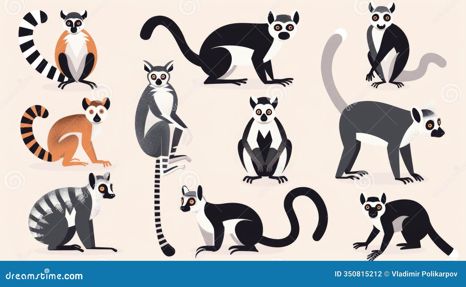 A Collection of Different Types of Lemurs. Suitable for Educational ...