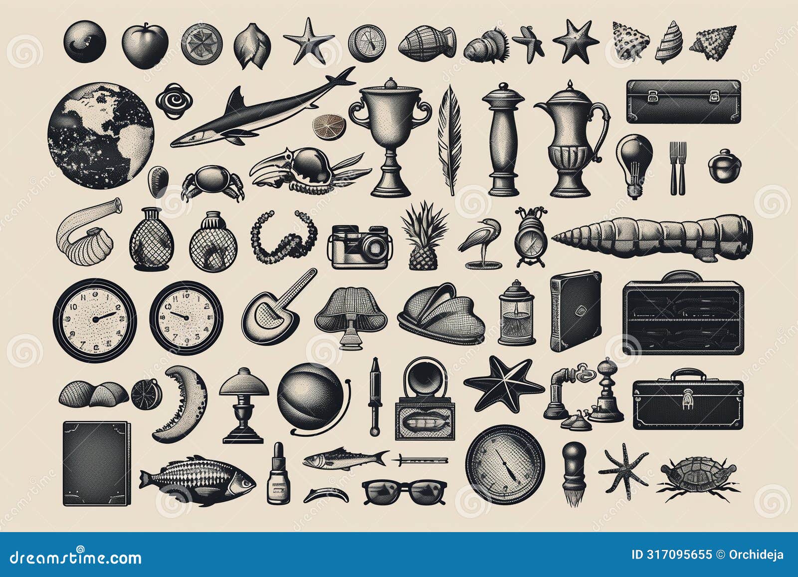 Collection Of Diverse Objects Of Different Types Displayed On A Plain ...