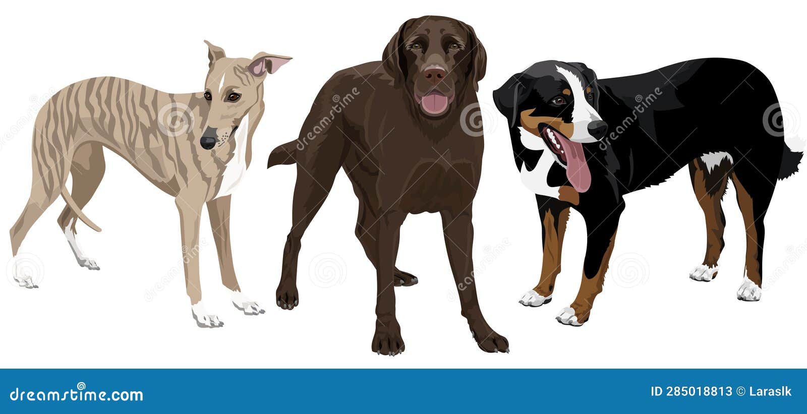 Collection of dogs stock vector. Illustration of funny - 285018813