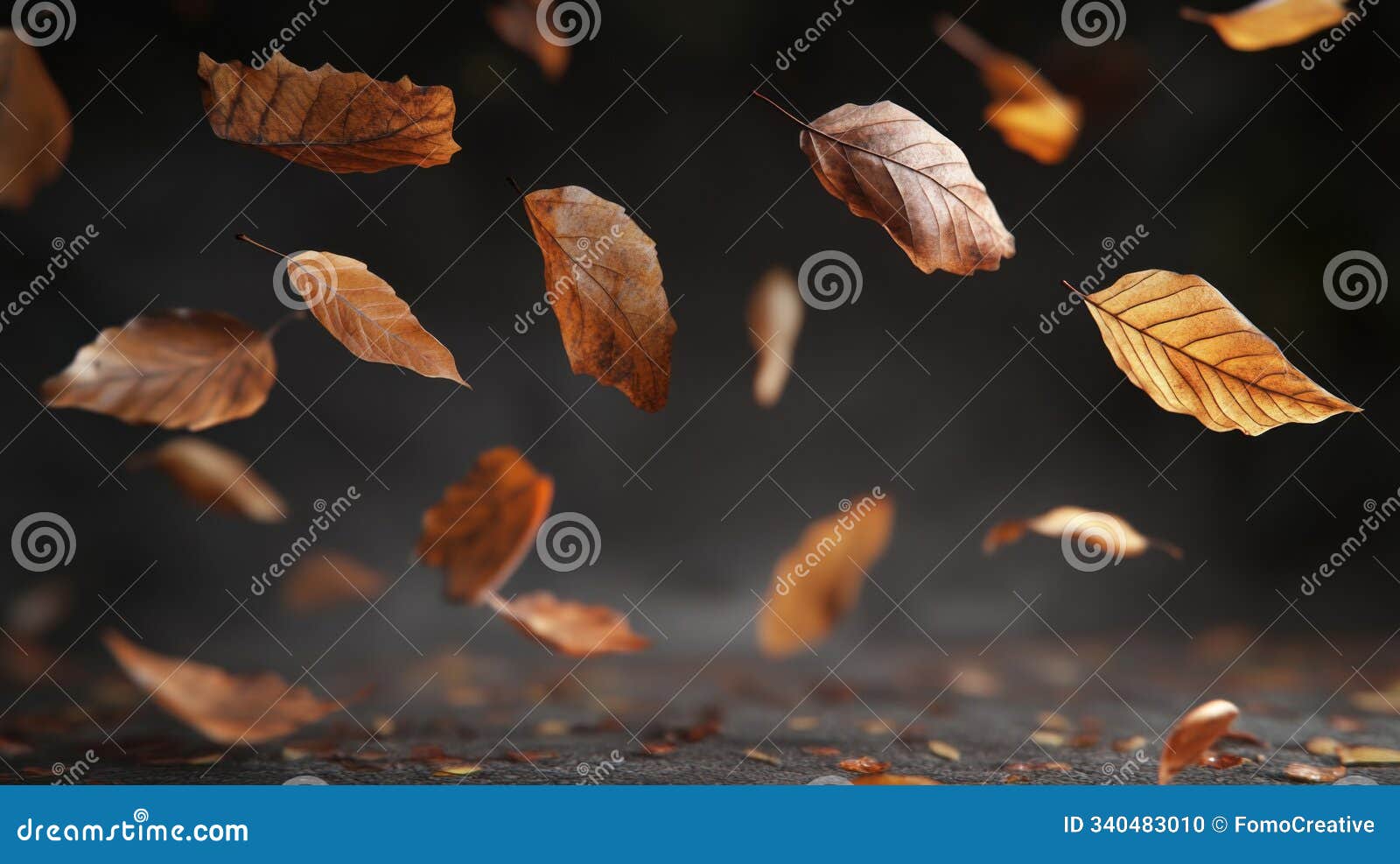 A Collection of Dried Leaves Falling in the Air Stock Illustration ...