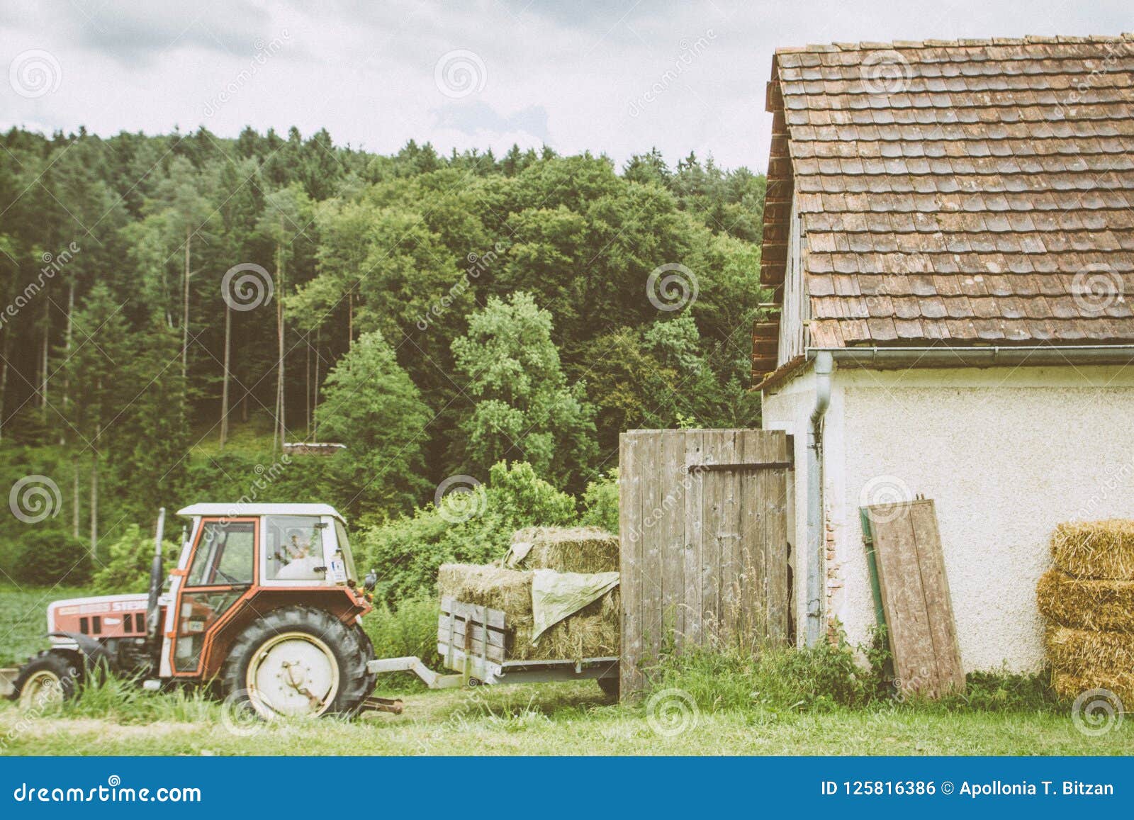 Tractor and hay by the stock photo. Image of collection - 125816386