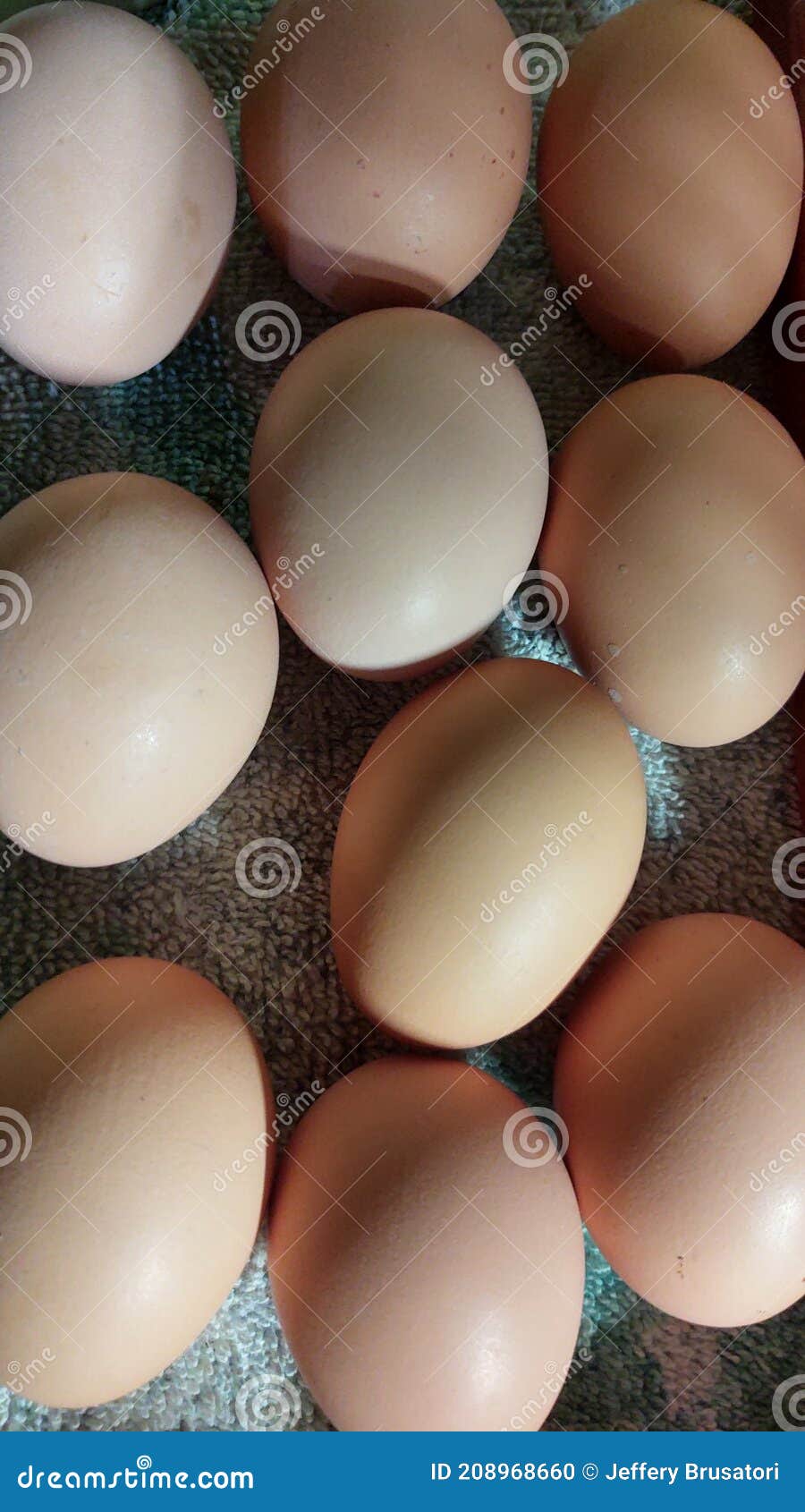 Collection of eggs stock photo. Image of pink, wholesome - 208968660