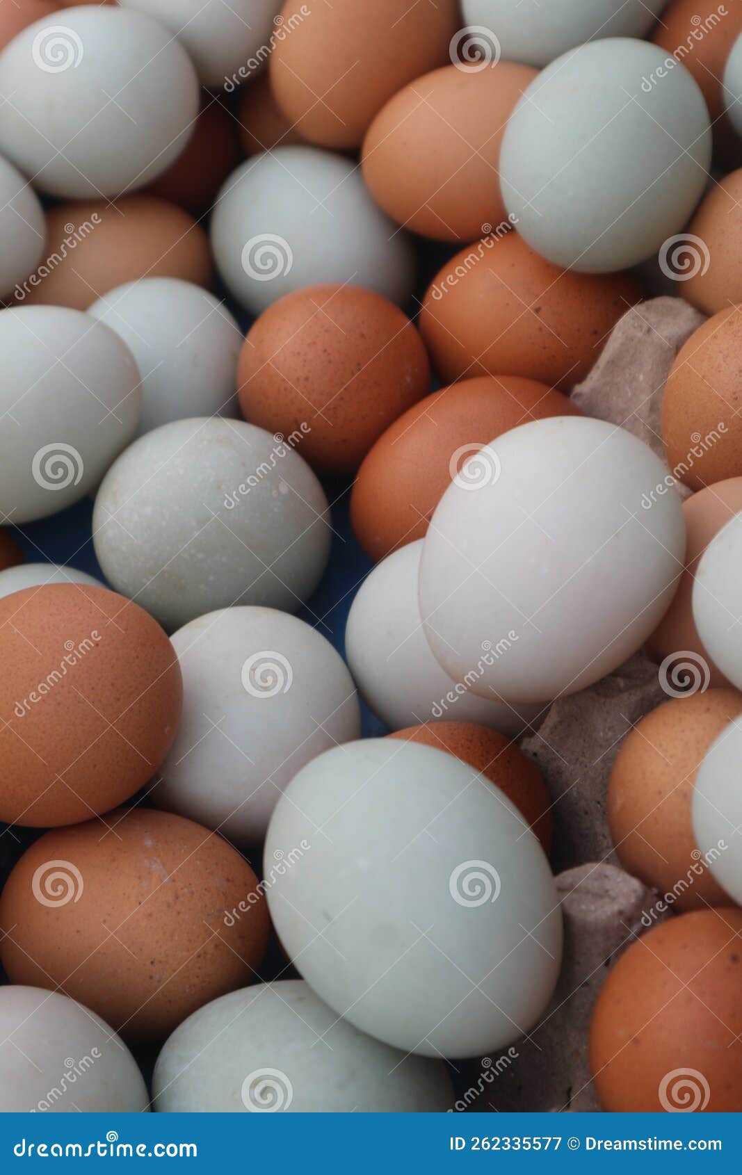 A Collection of Eggs in a Box Ready To Be Cooked Stock Image - Image of ...