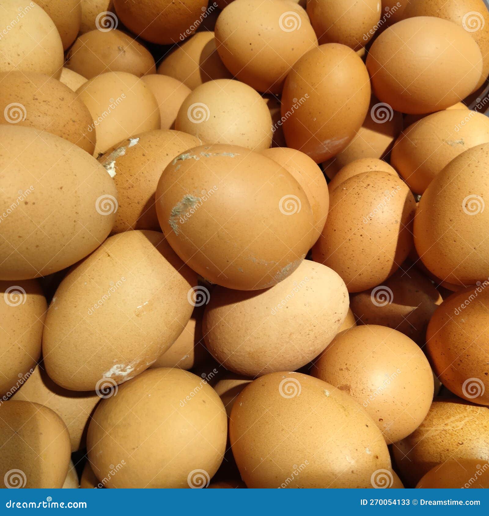 The Collection of Eggs in the Photo is Normal Stock Image - Image of ...