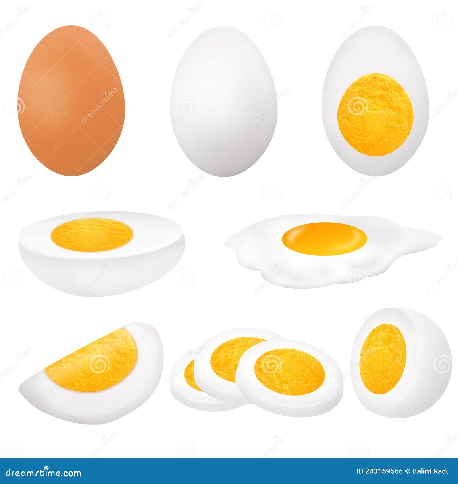 Boiled Egg Cut In Half, Realistic Vector Illustration | CartoonDealer.com #201632688