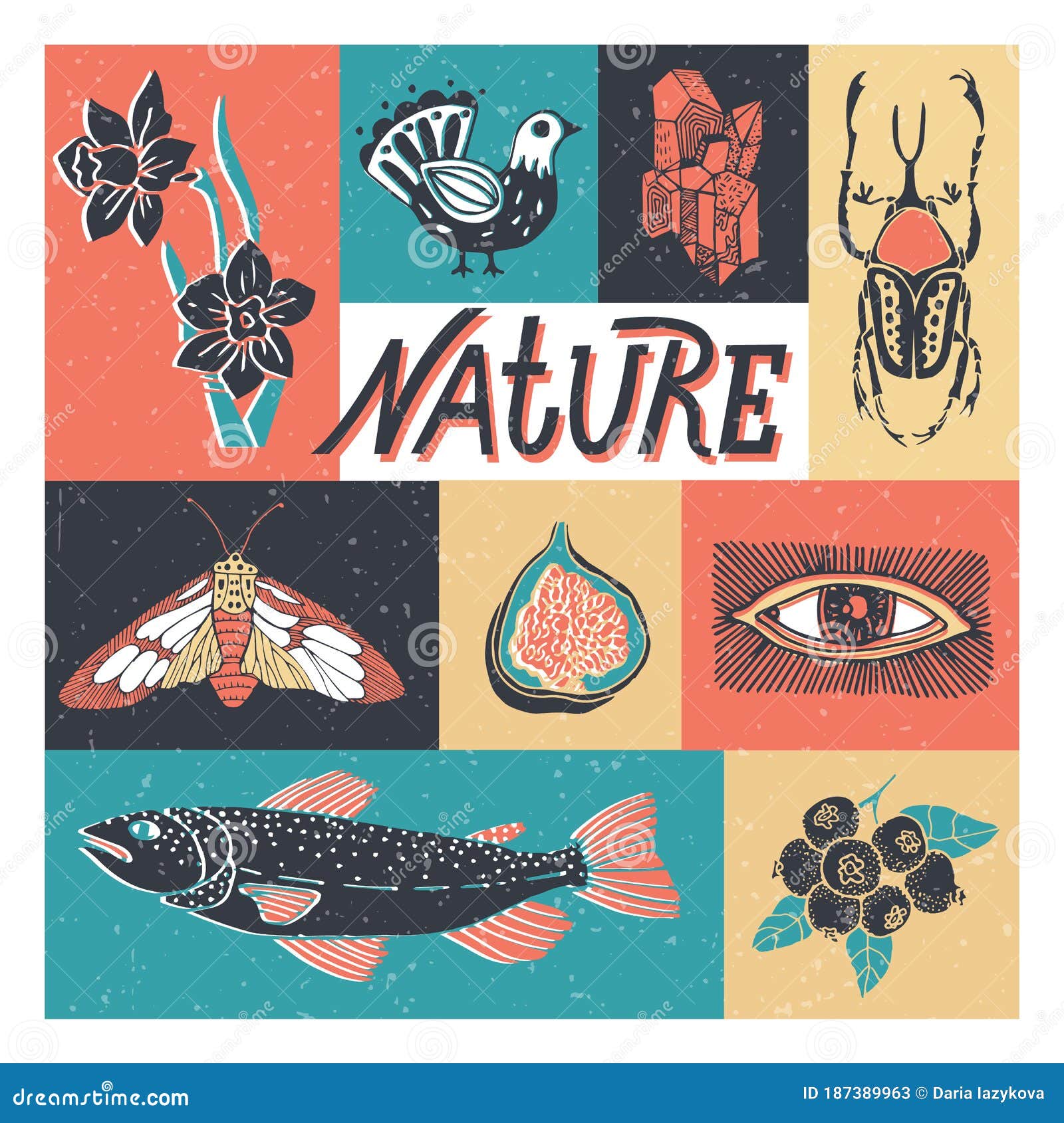 Collection of Elements of Nature. Stock Vector - Illustration of hand ...