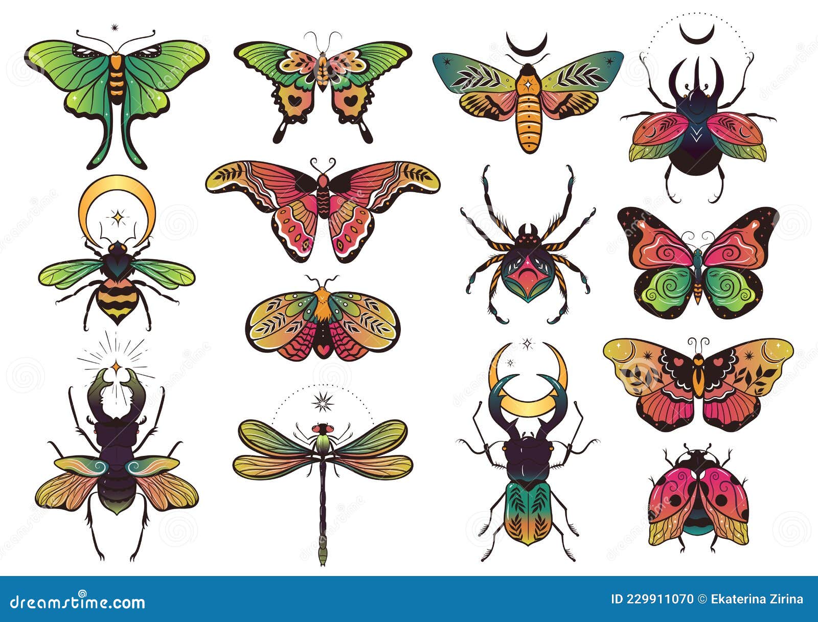 Colorful Insects Icons Isolated Wildlife Wing Detail Summer Worm ...