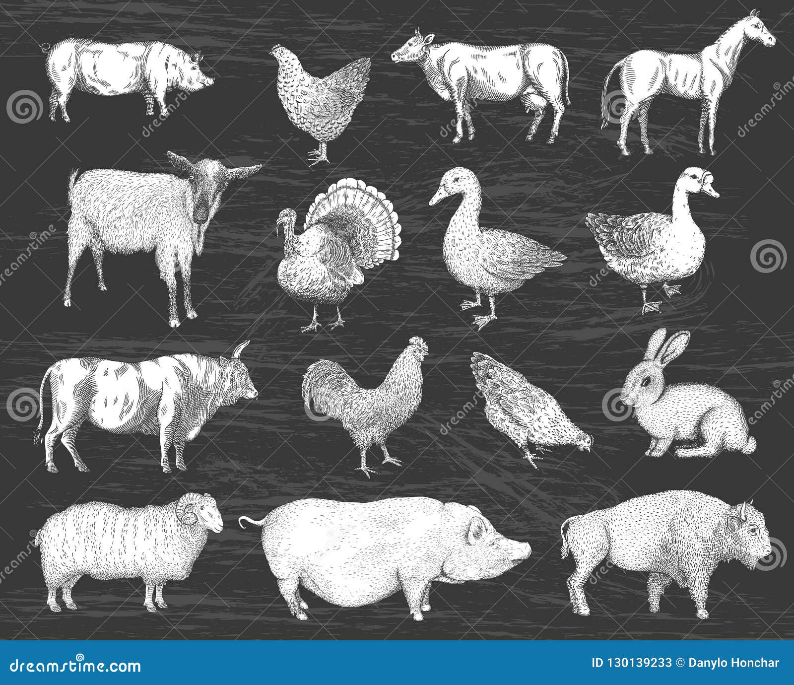 Collection of Farm Animals. Vector Eps10 Illustrations. Stock Vector ...