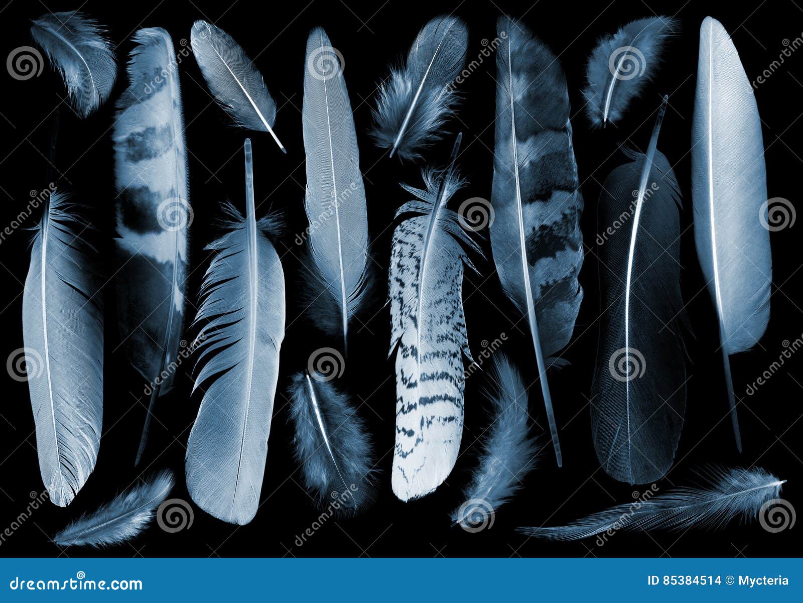 Collection of feathers stock photo. Image of detail, bird - 85384514