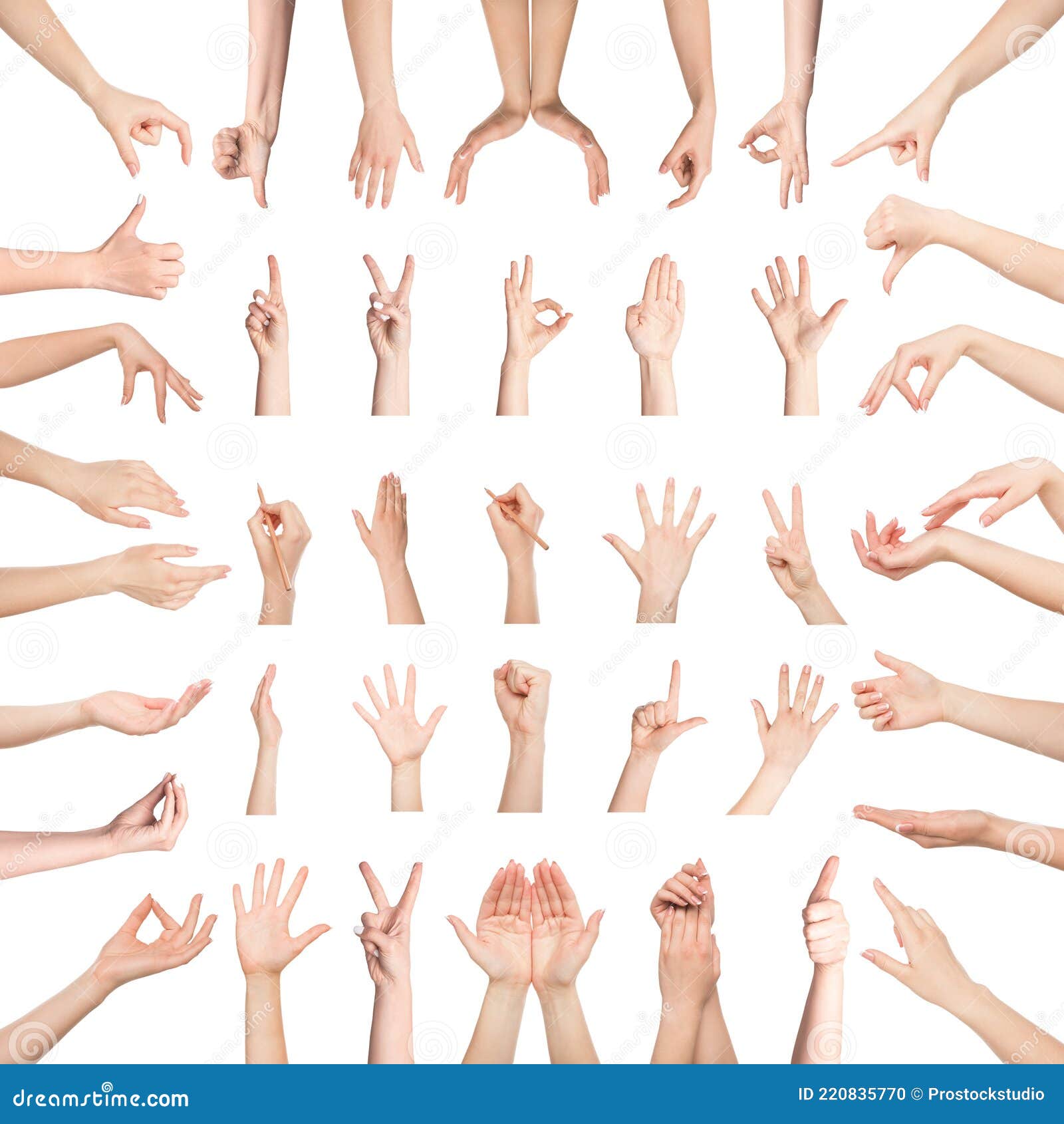 Collection of Female Hands Gesturing on White Background Stock Photo ...