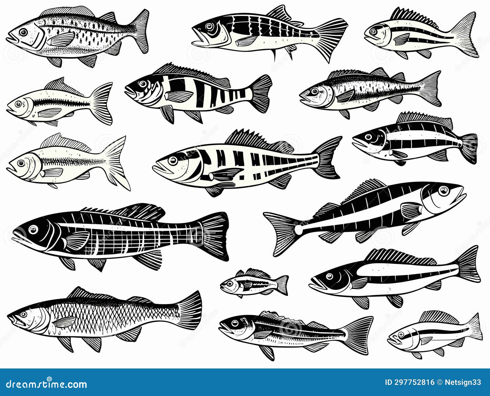 A Collection of Fish with Different Stripes - Types Freshwater Fish ...