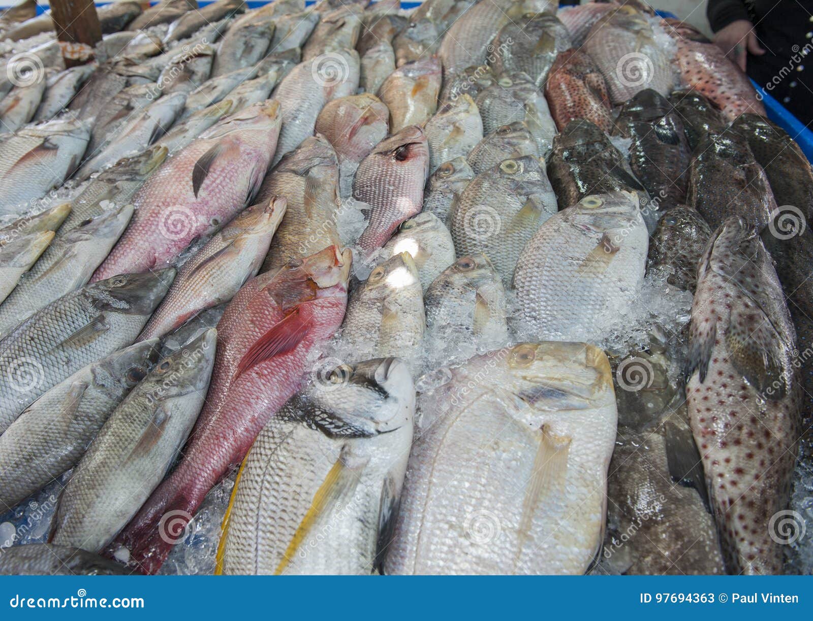 Collection of Fish on Display in Traditional Open Air Market Stock ...