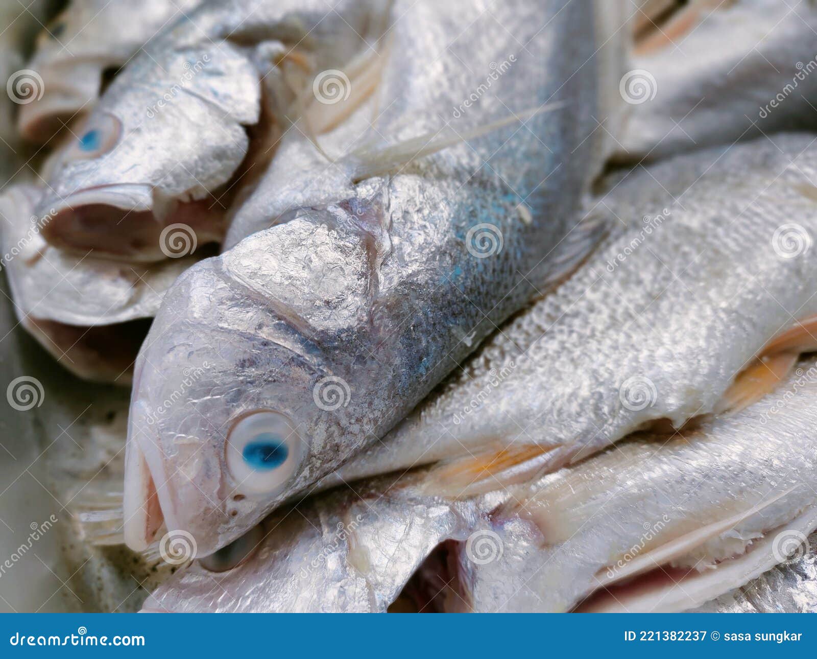 A Collection Fish that Have Been Cleaned and Ready To Be Cooked Stock ...