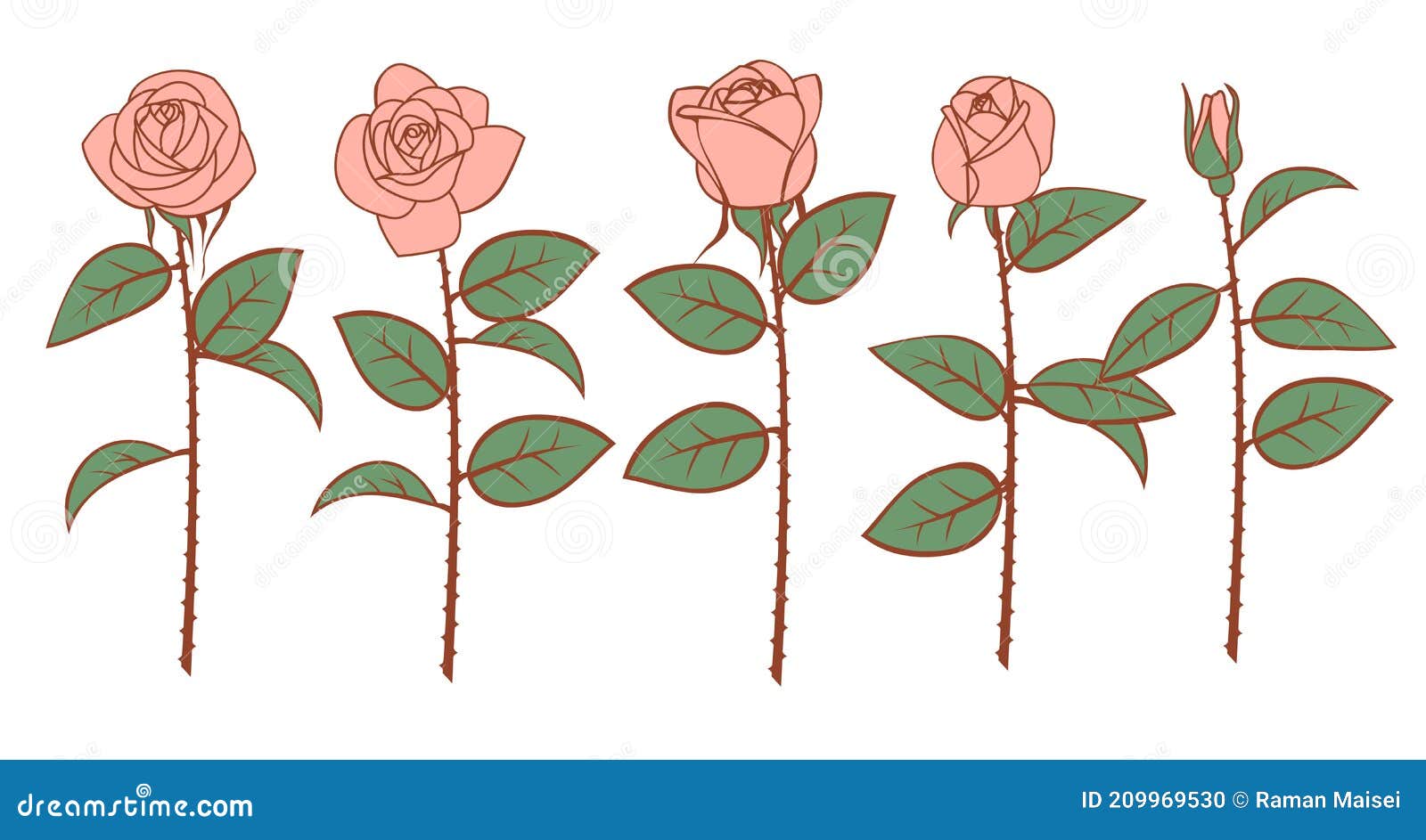 Collection of Five Pink Roses in Retro Style. Stock Vector ...