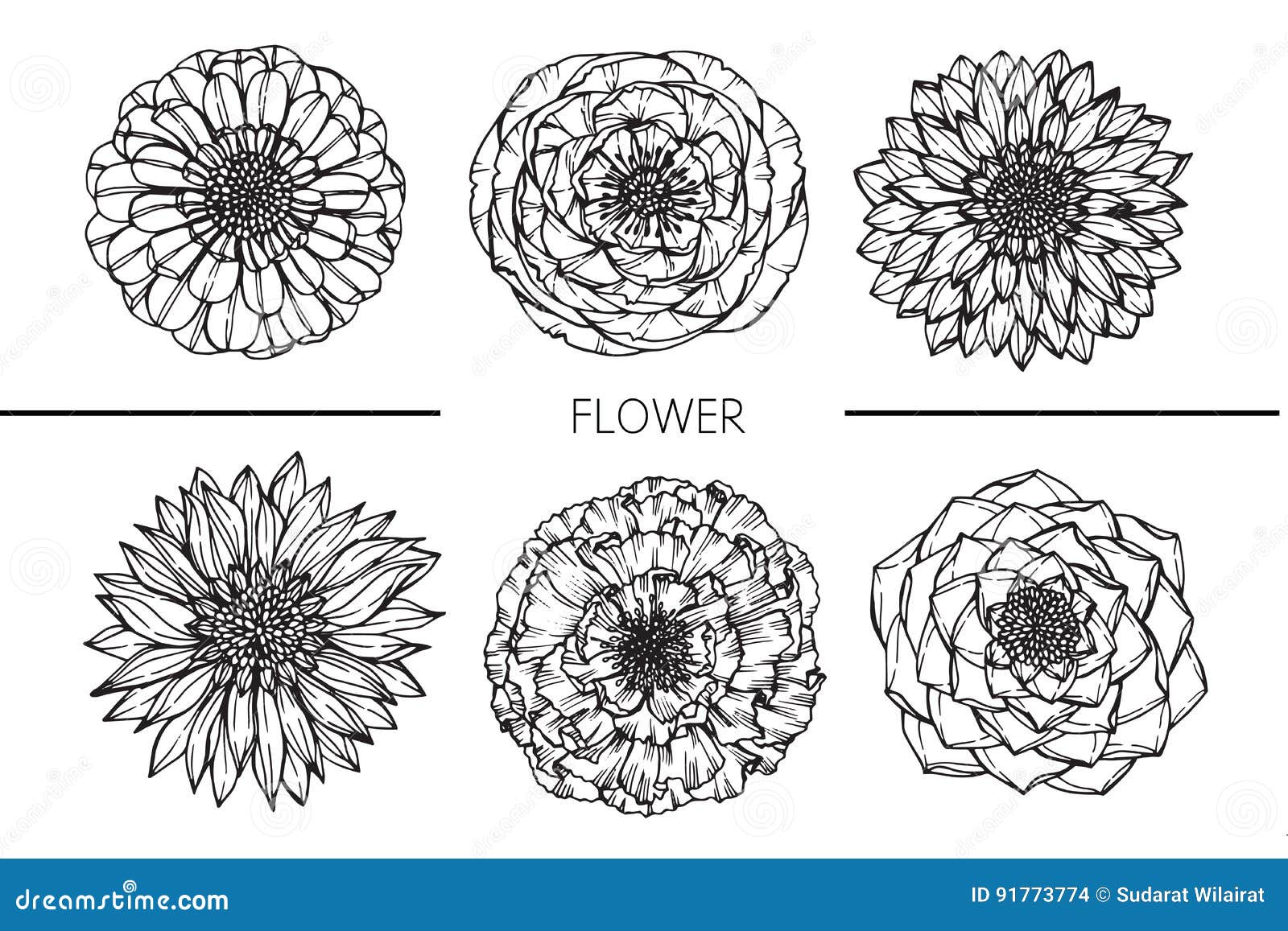 Collection of Flowers Drawing and Sketch with Line-art Stock Vector ...