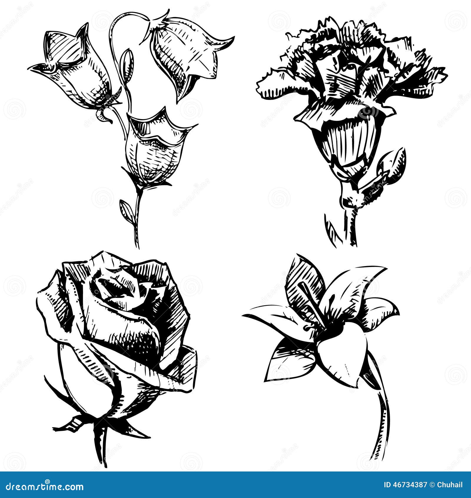 Collection of flowers stock vector. Illustration of meadow - 46734387