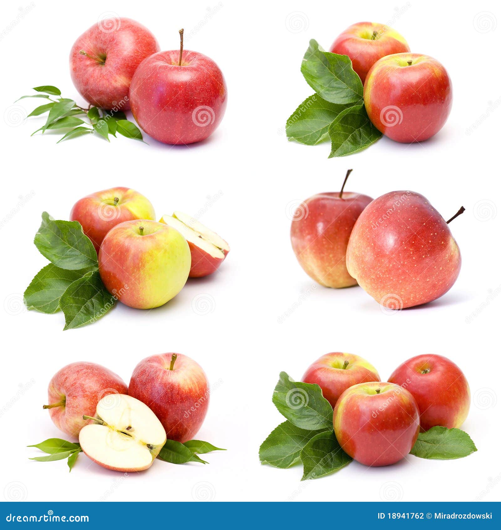 Collection of Fresh Apple Fruits Stock Photo - Image of stem, studio ...