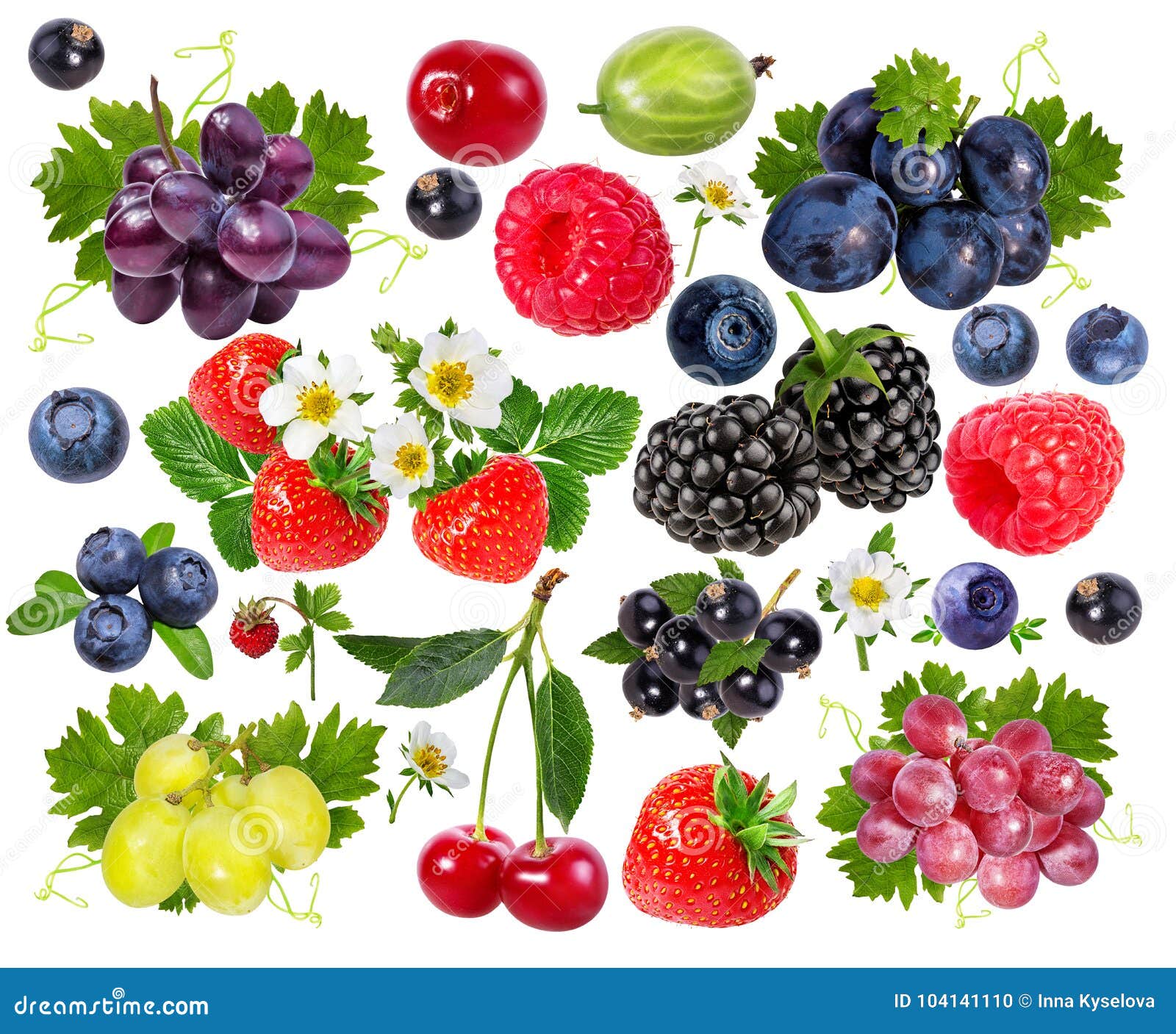 Collection of Fresh Berries Isolated Stock Photo - Image of grapes ... Collection of Fresh Berries Isolated Stock Photo - Image of grapes ...