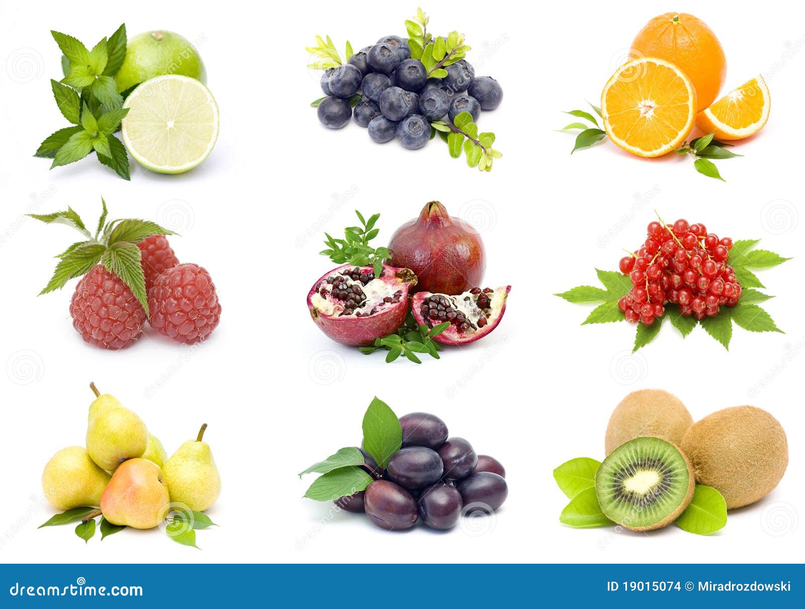 Collection of fresh fruits stock photo. Image of orange - 19015074