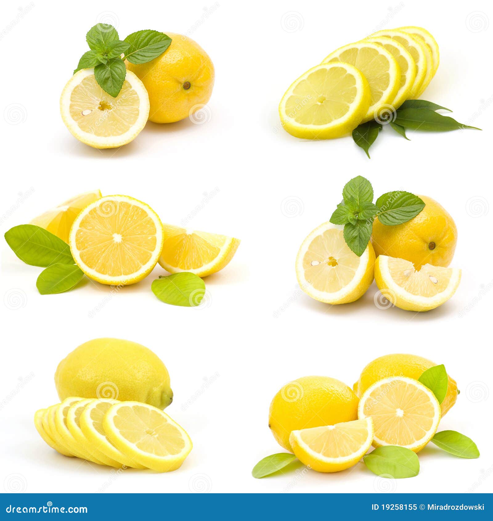 Collection of fresh lemons stock image. Image of seed - 19258155