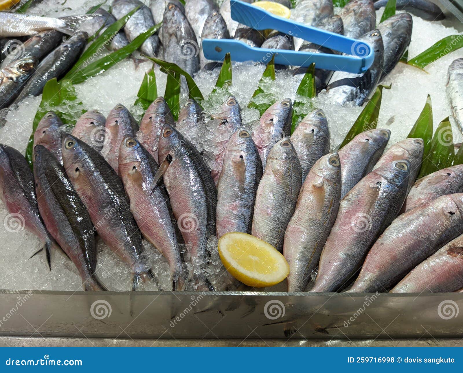 Fresh Sea Fish in an Ice Box Stock Photo - Image of industry, dorado ...