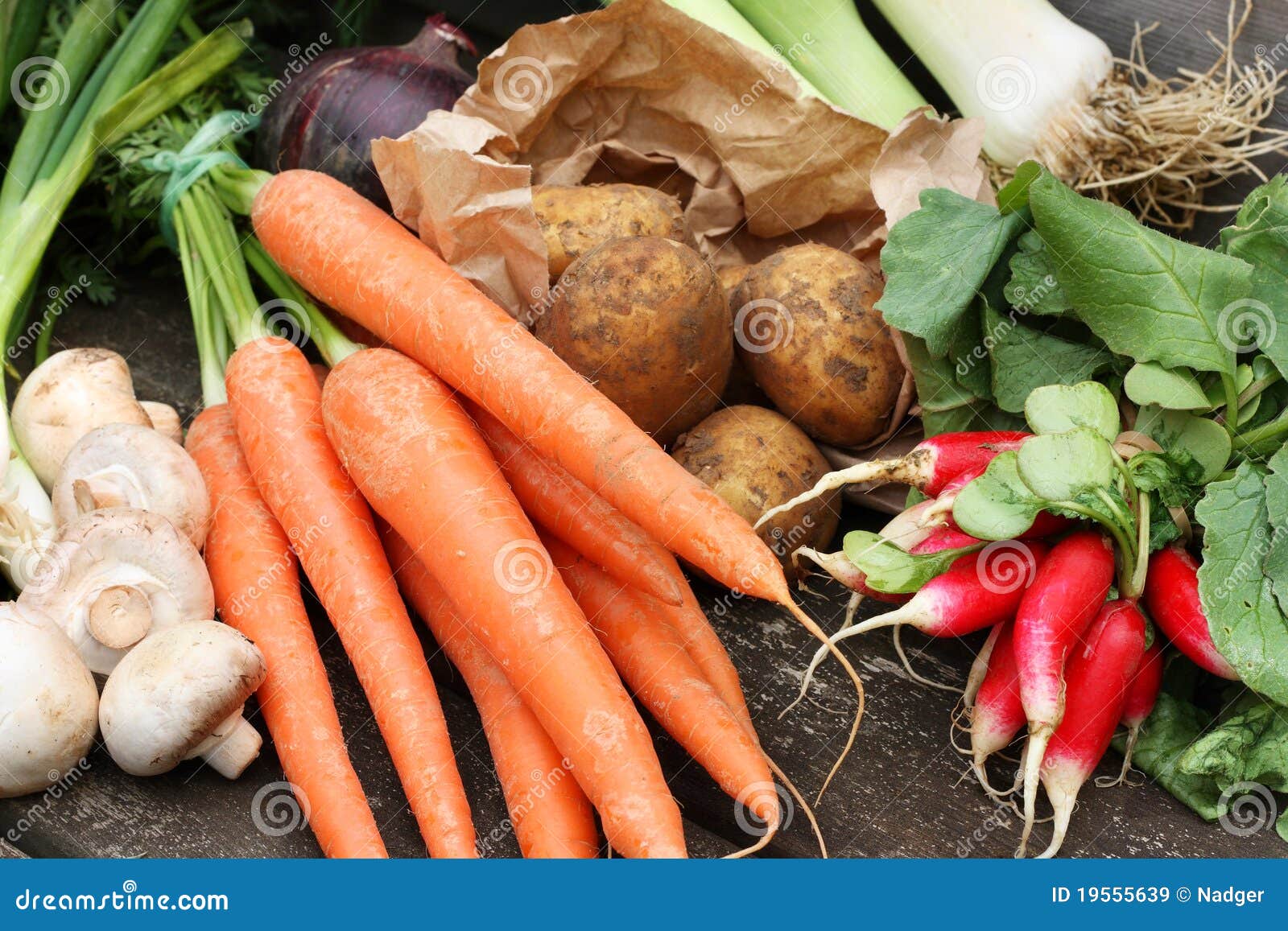 Collection of Fresh Vegetables Stock Image - Image of basic, colorful ...