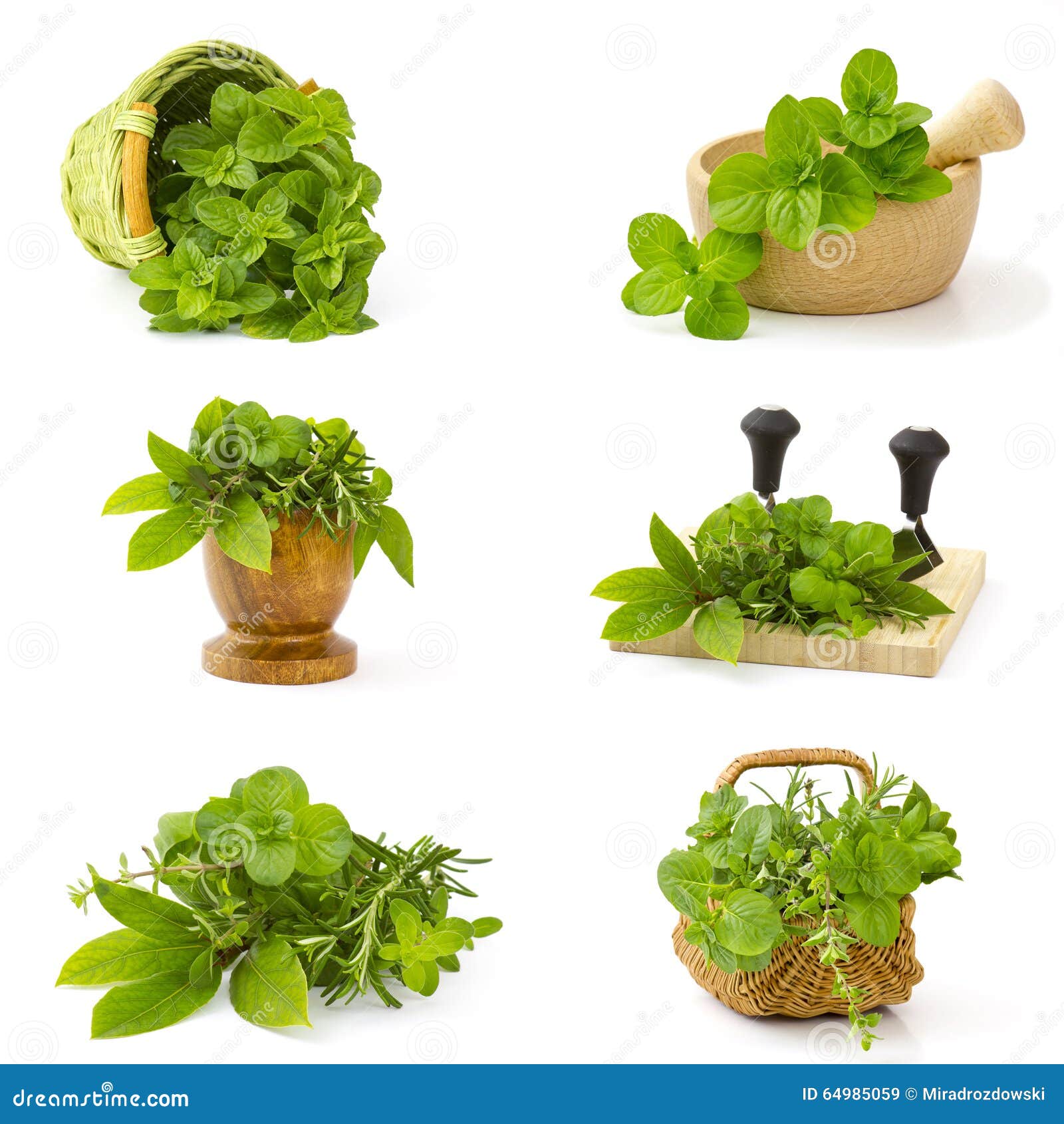 Collection of Freshly Harvested Herbs Stock Image - Image of green ...