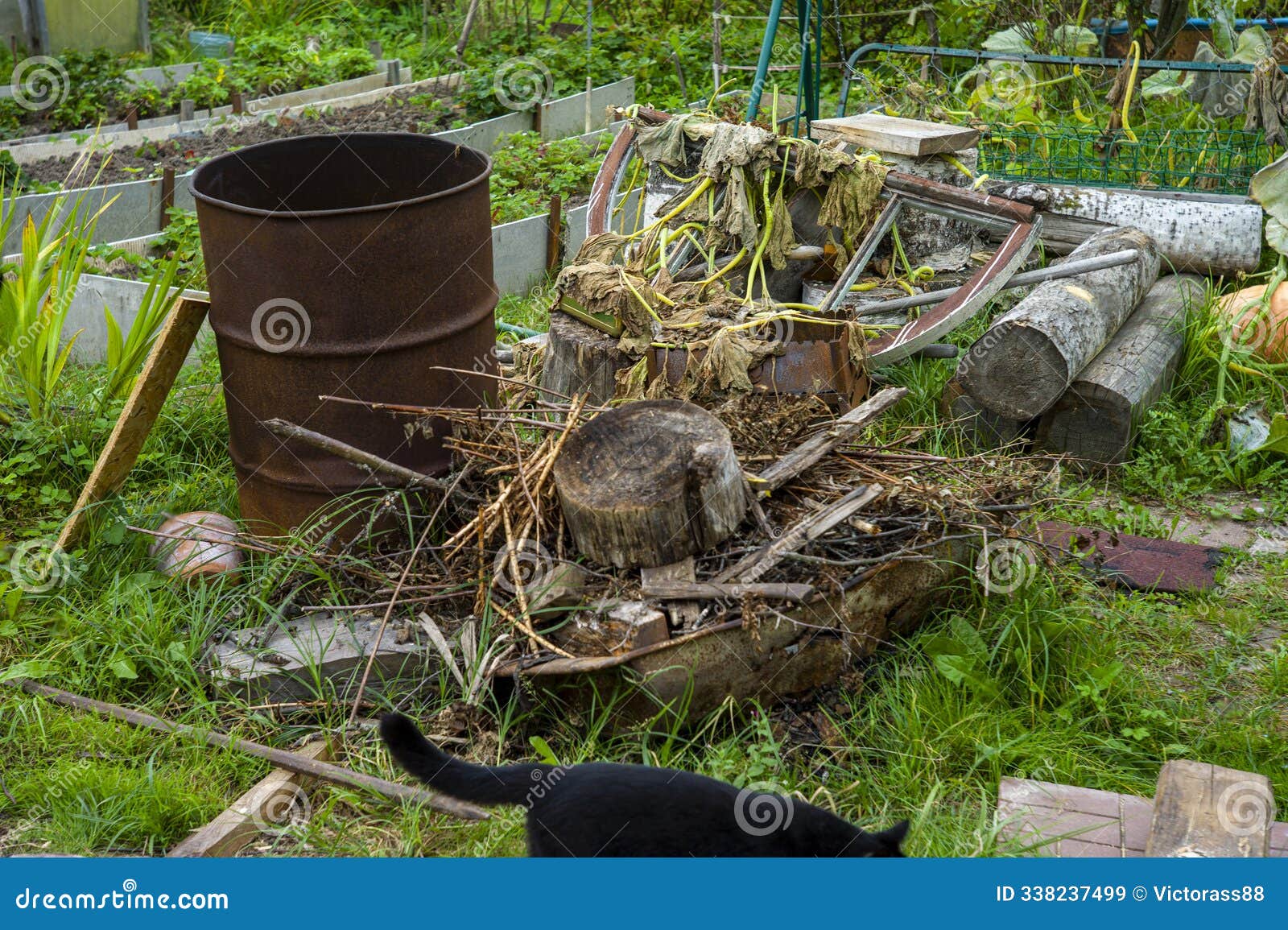 Cat Walking in a Messy Backyard Stock Image - Image of backyard, trash ...