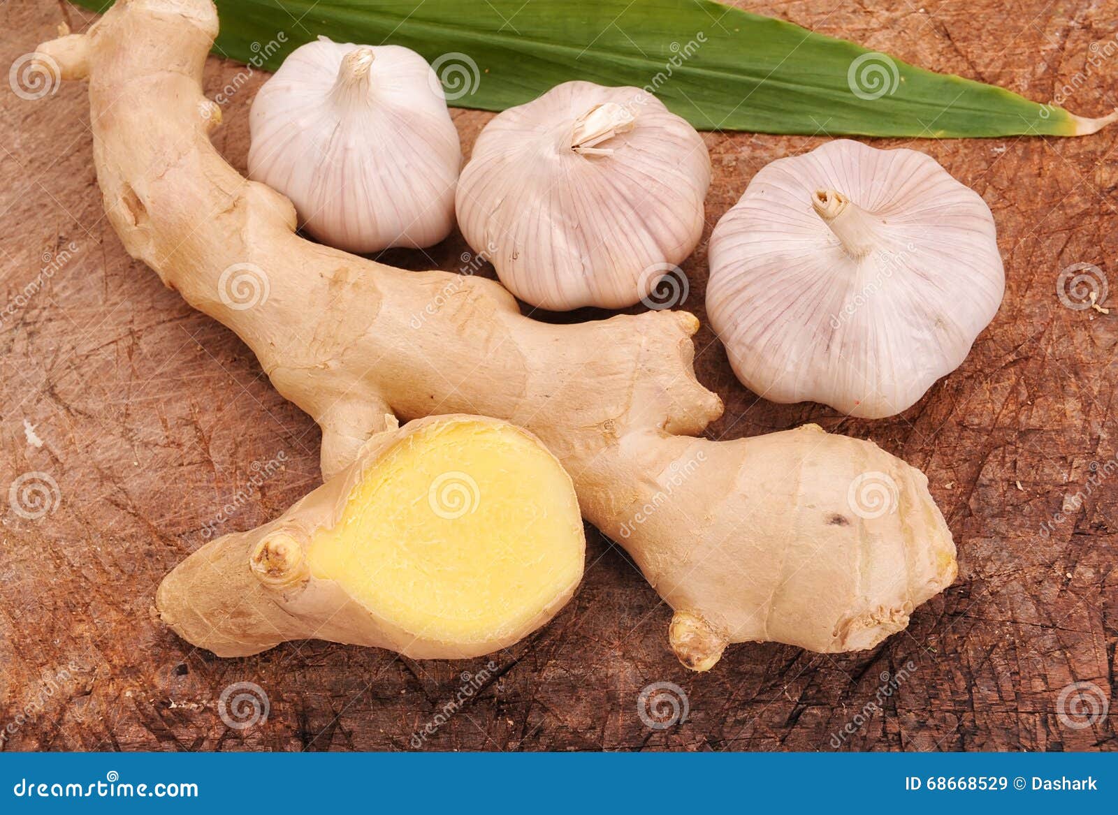 Collection of ginger root stock image. Image of environment - 68668529