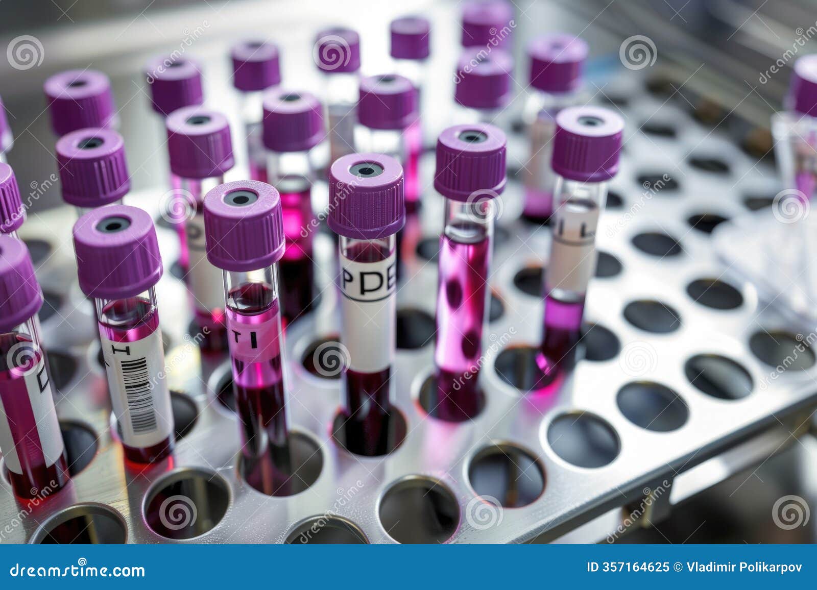 A Collection of Glass Vials Stored on a Metal Rack, Suitable for ...