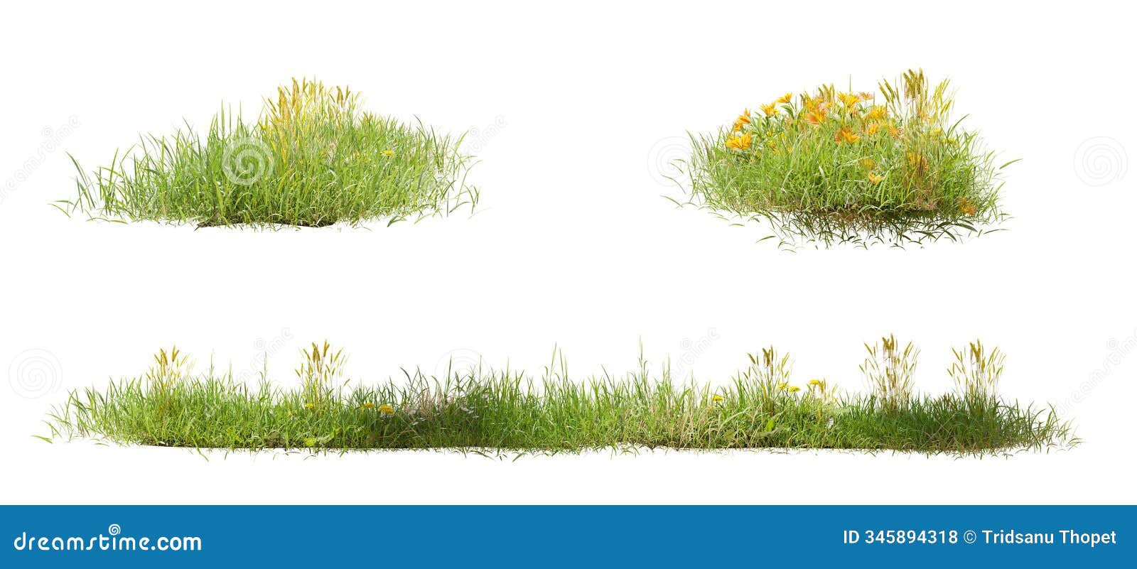 Collection Grass Field, No Background Easy To Move by Drag and Drop To ...