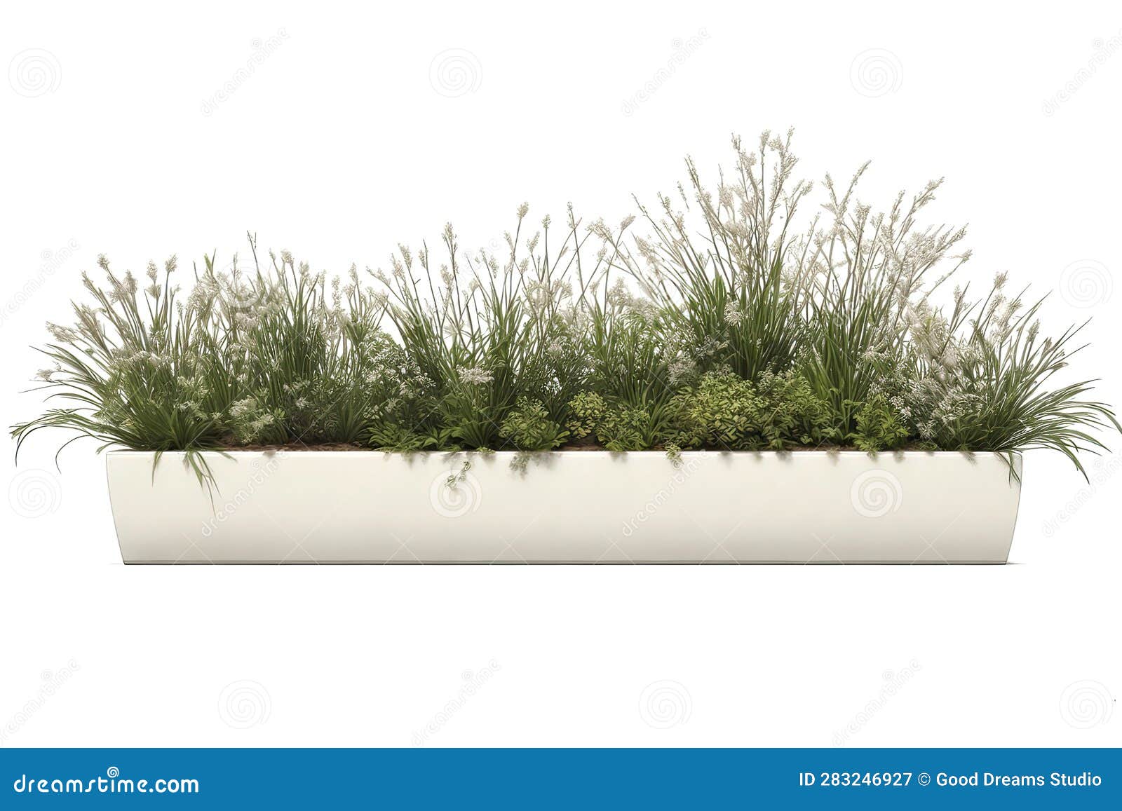 A Collection of Grass Plants in in a Long Pots. ,Interior Design, Grass ...