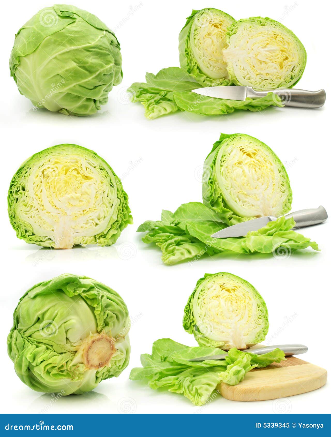 Collection of Green Cabbage Vegetables Isolated Stock Image - Image of ...